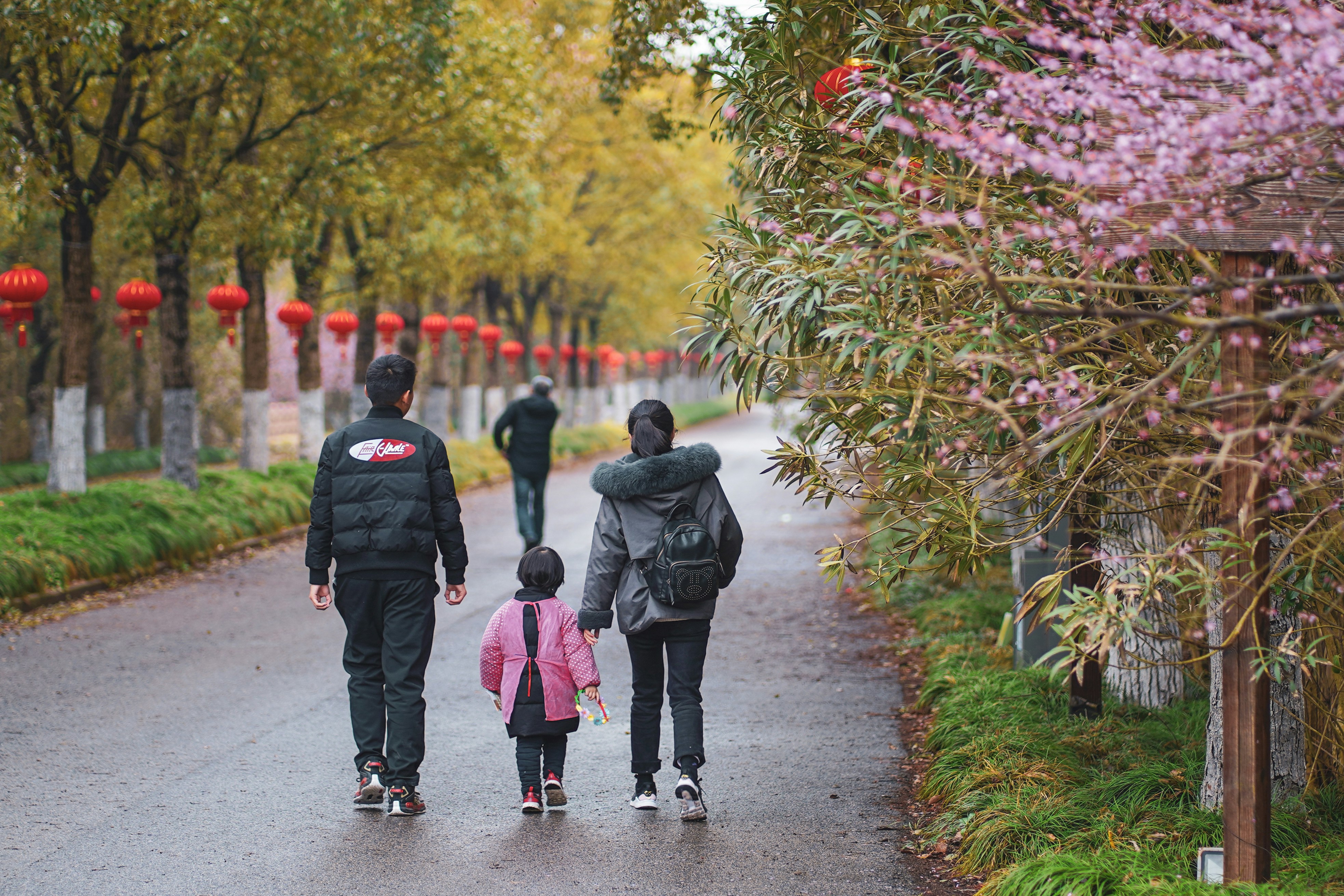 Family Stroll Under Autumn Glow