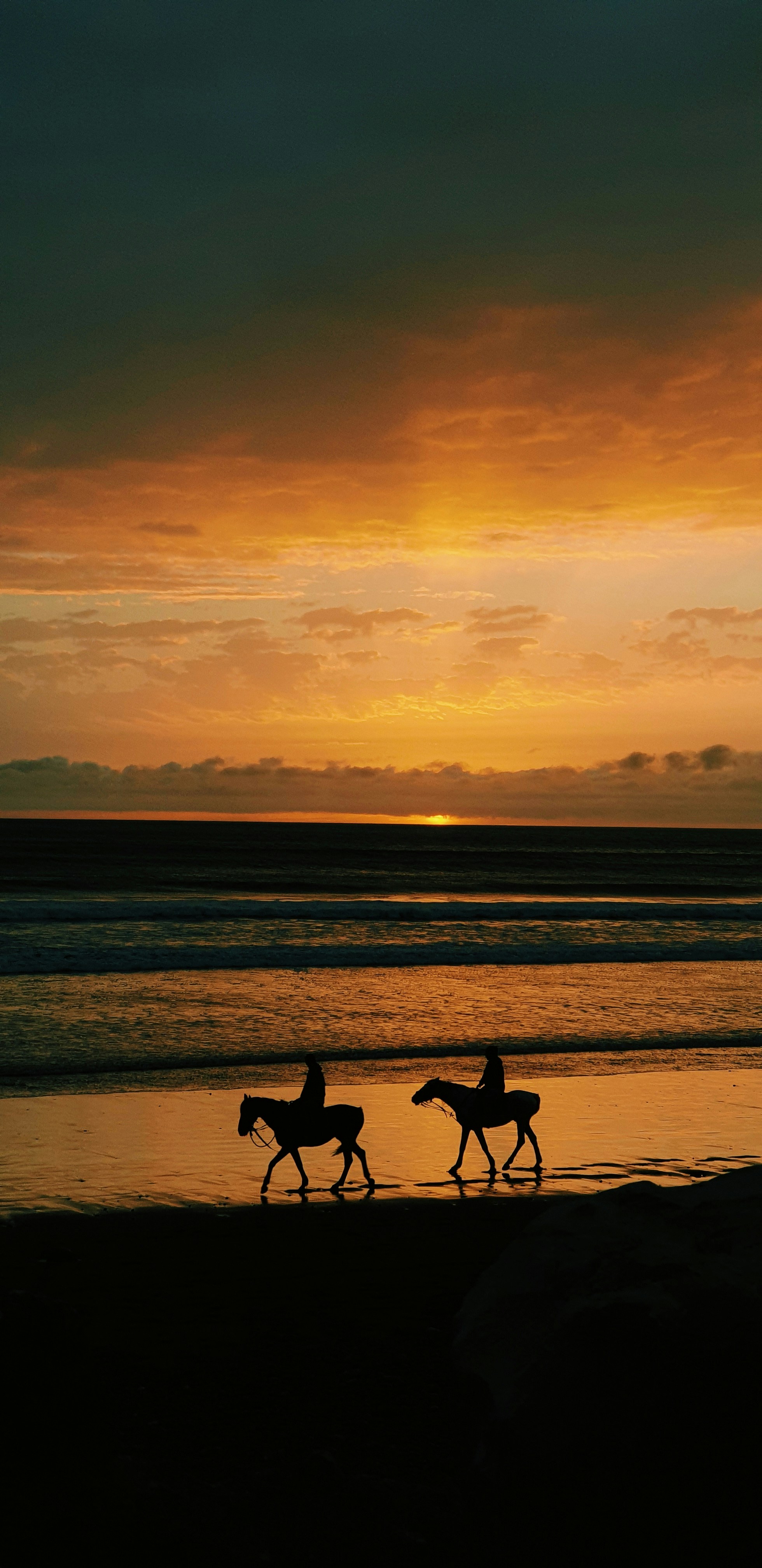 Twilight Gallop on the Shore