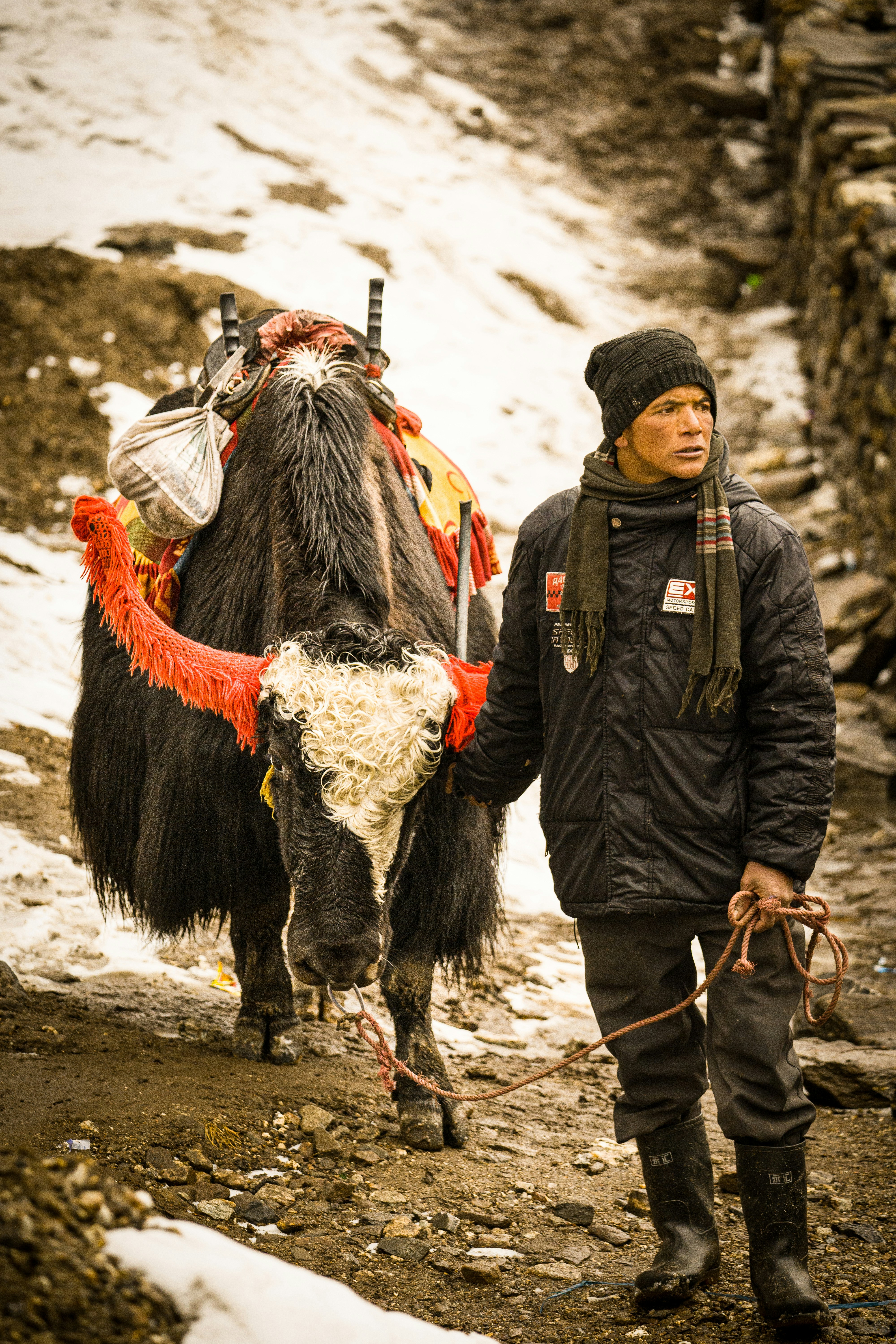Man in black jacket standing beside brown and white horse during ...