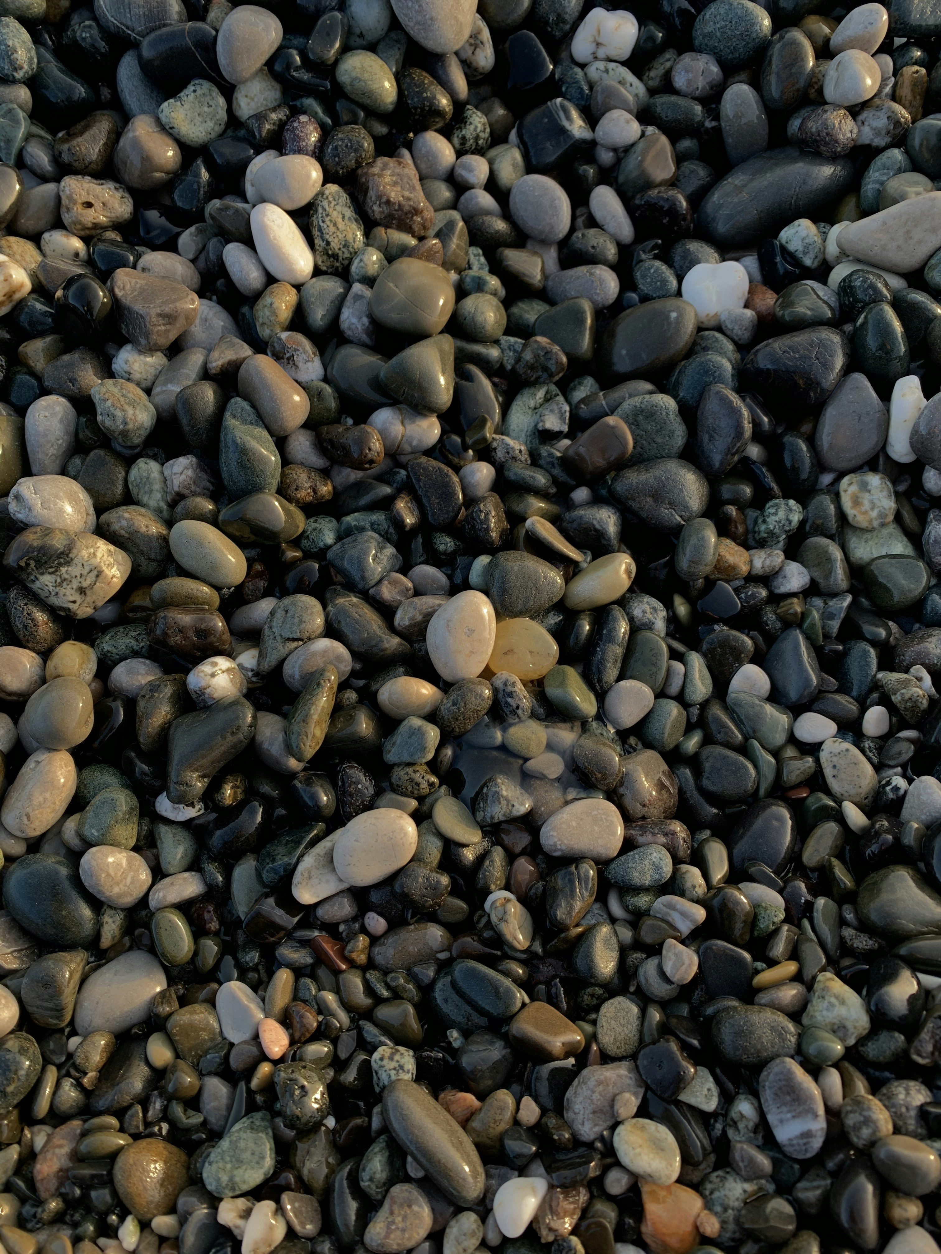 _s_ 15_ (@silviaa) | Unsplash Photo Community