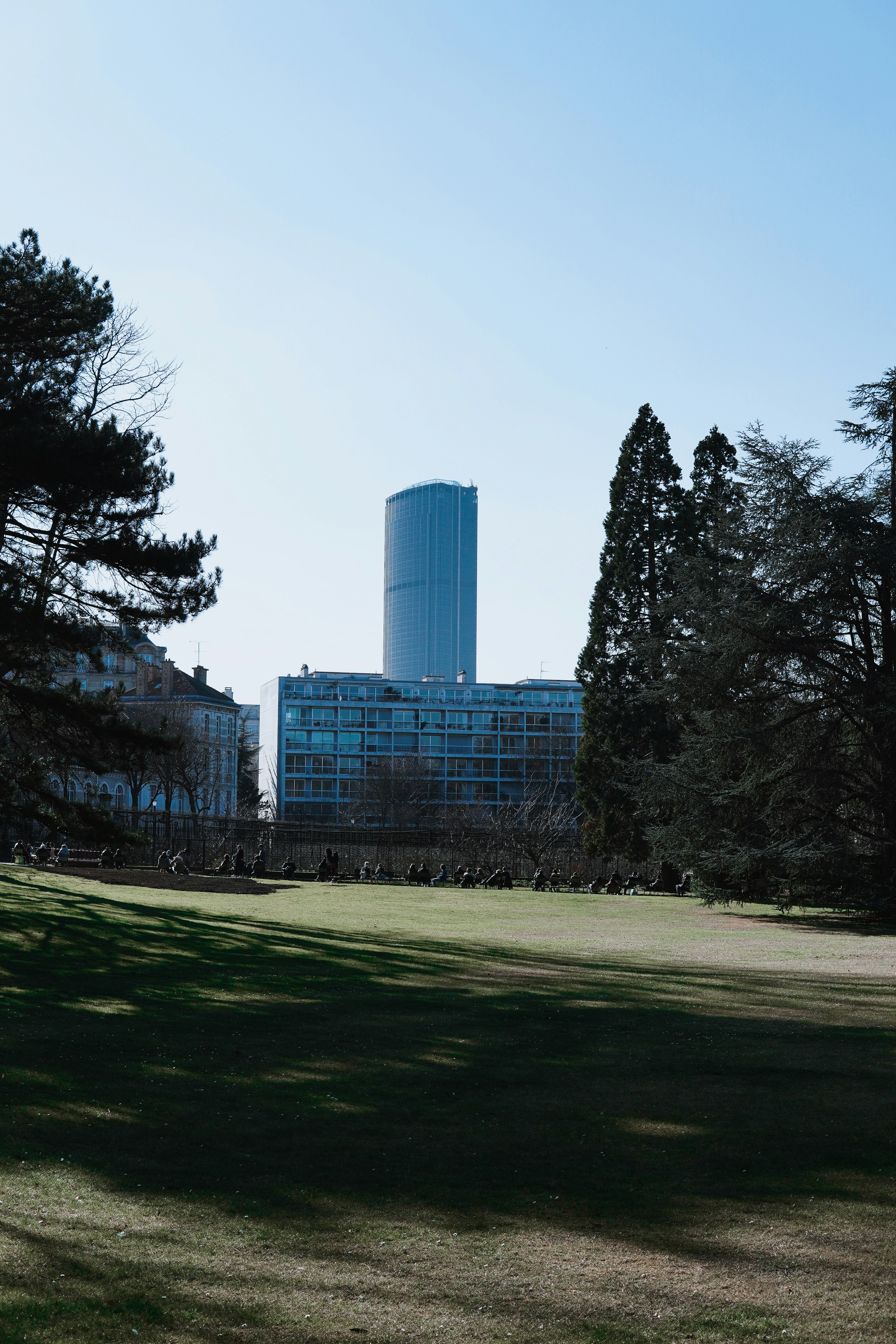 Green grass field near trees and high rise buildings during daytime ...