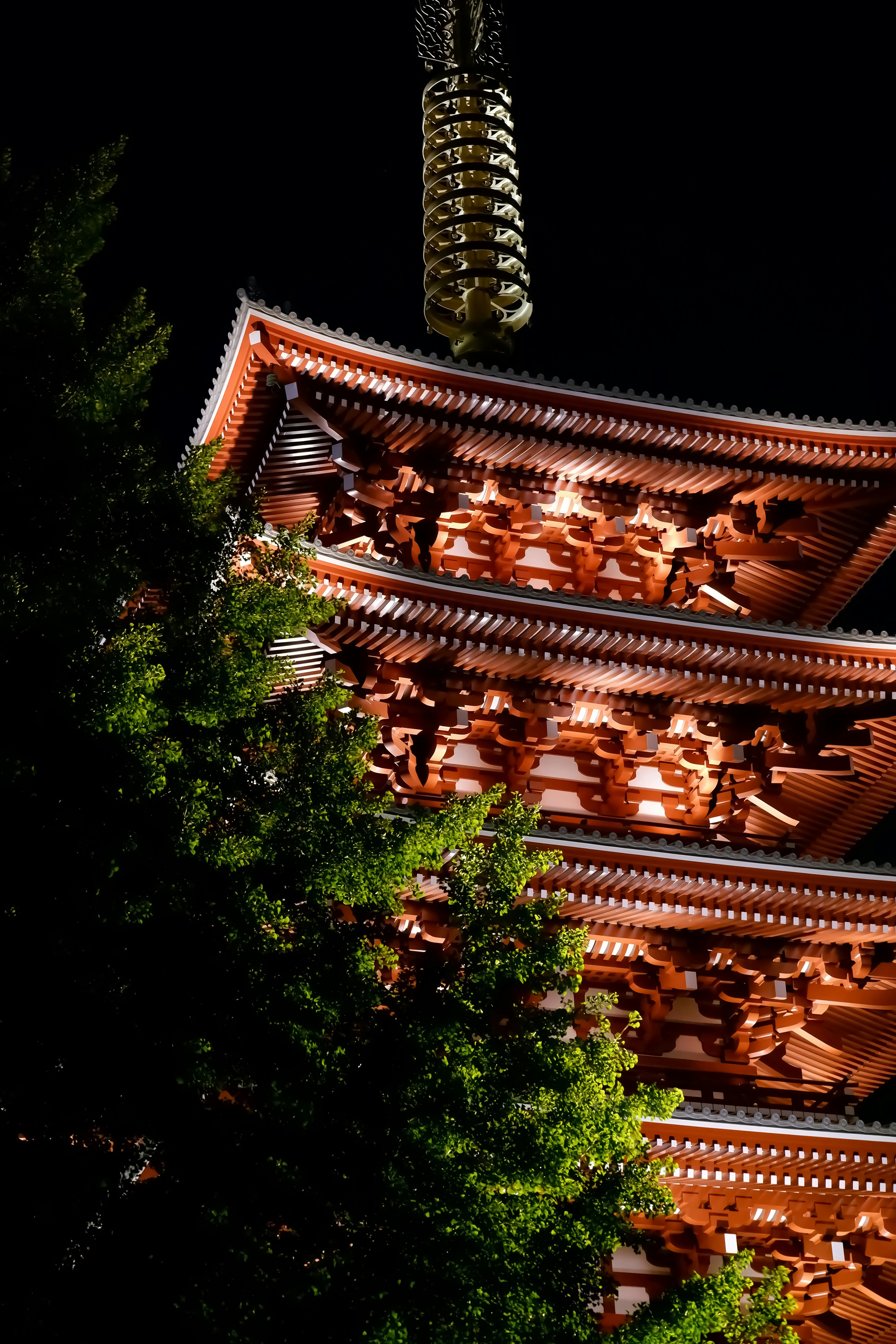Intricate architectural details of a traditional pagoda illuminated against the night sky, framed by lush greenery.