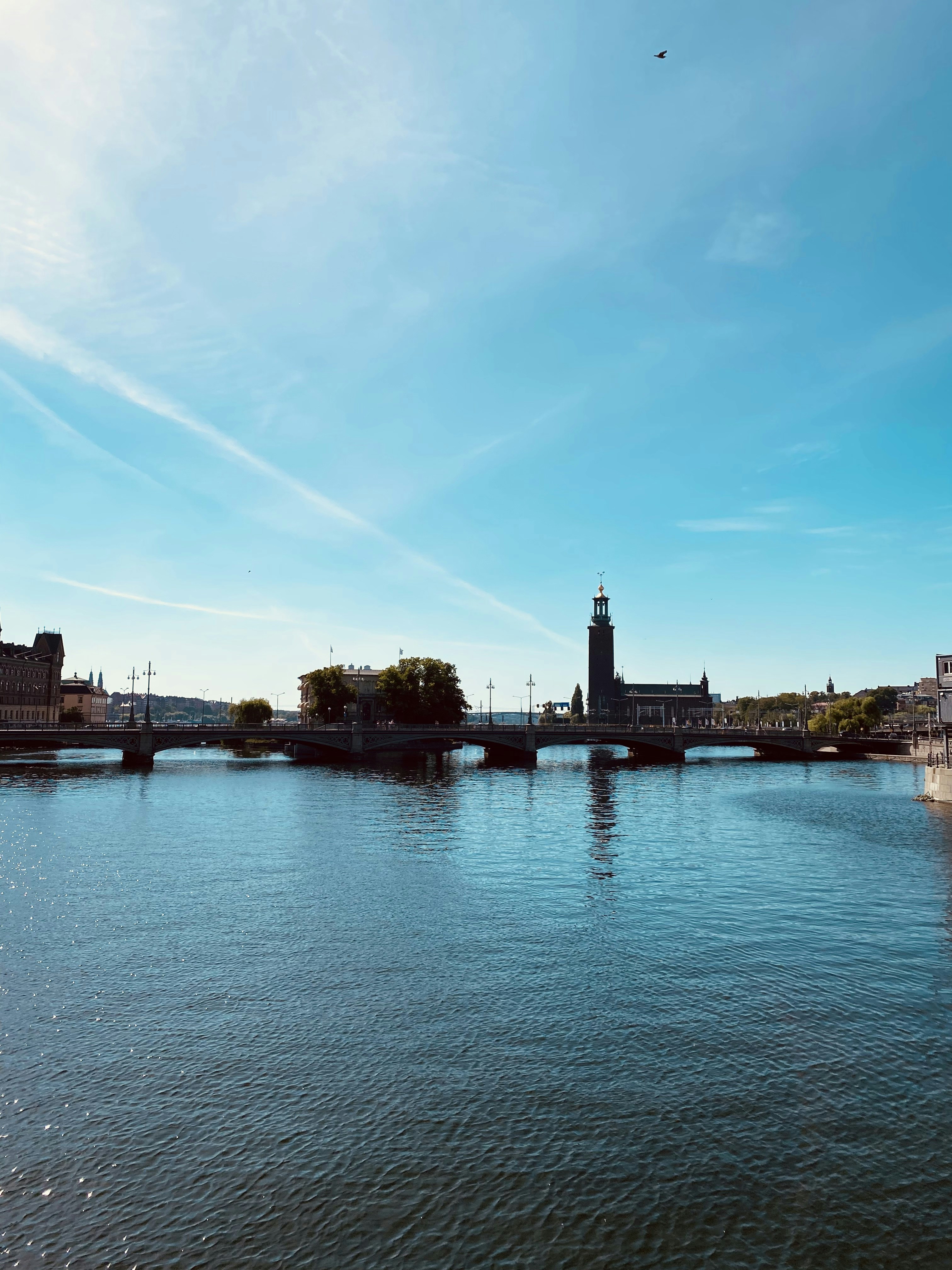 Noon Light on the River: Clock-Tower and Stone Bridge