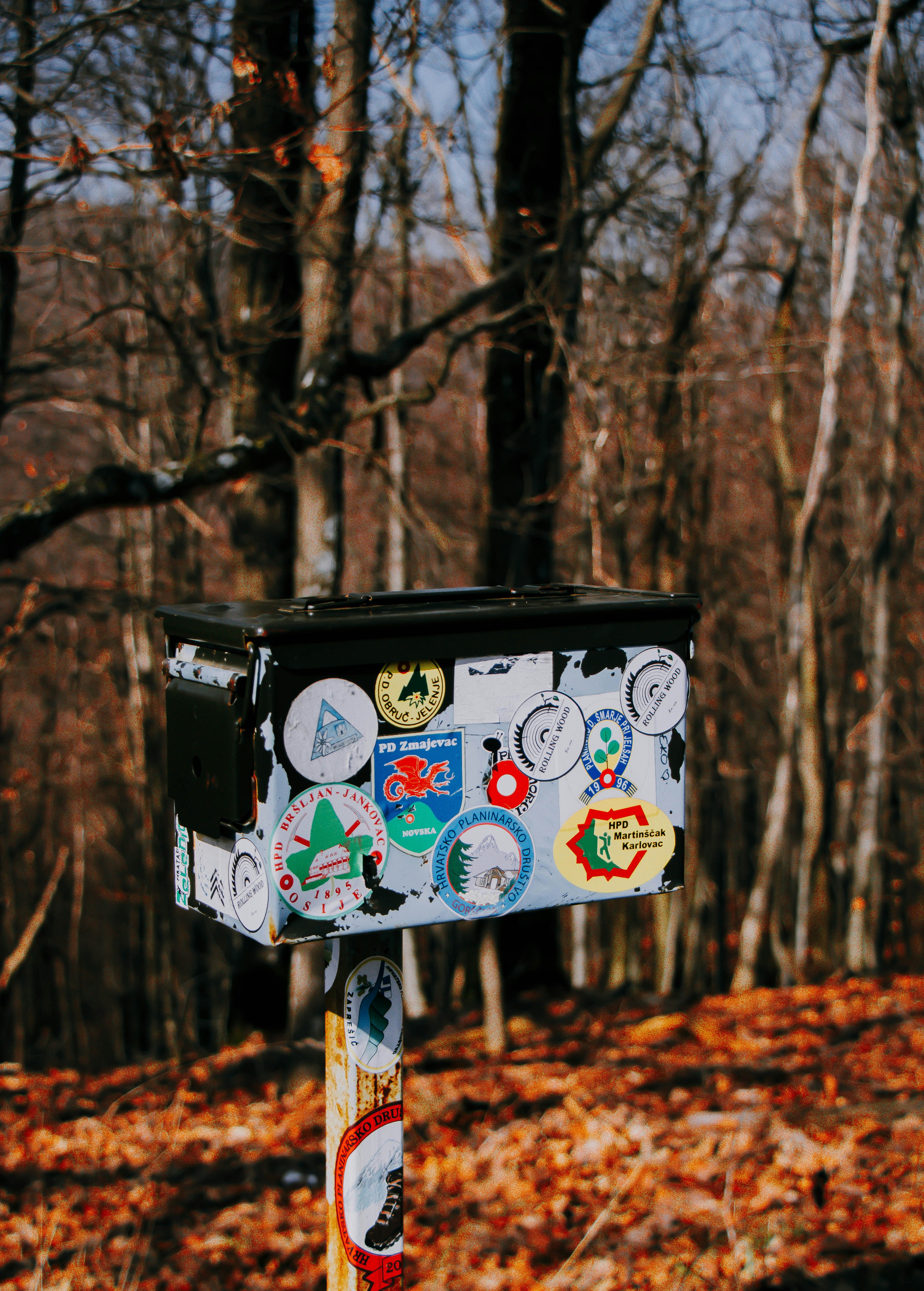 A weathered mailbox adorned with colorful stickers stands amidst a backdrop of autumn trees, inviting exploration and adventure.
