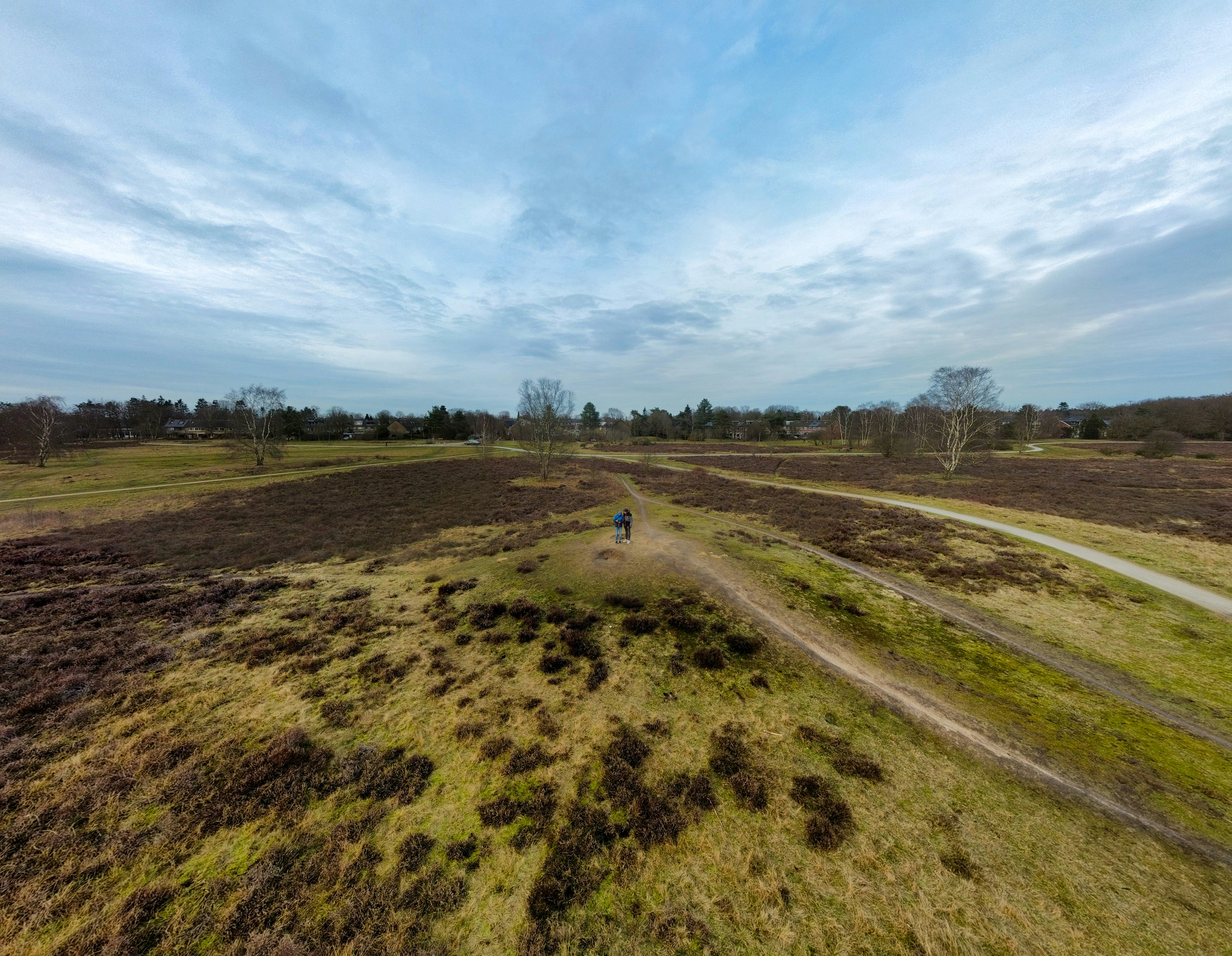 Expansive view of a moorland with winding paths under a cloudy sky.