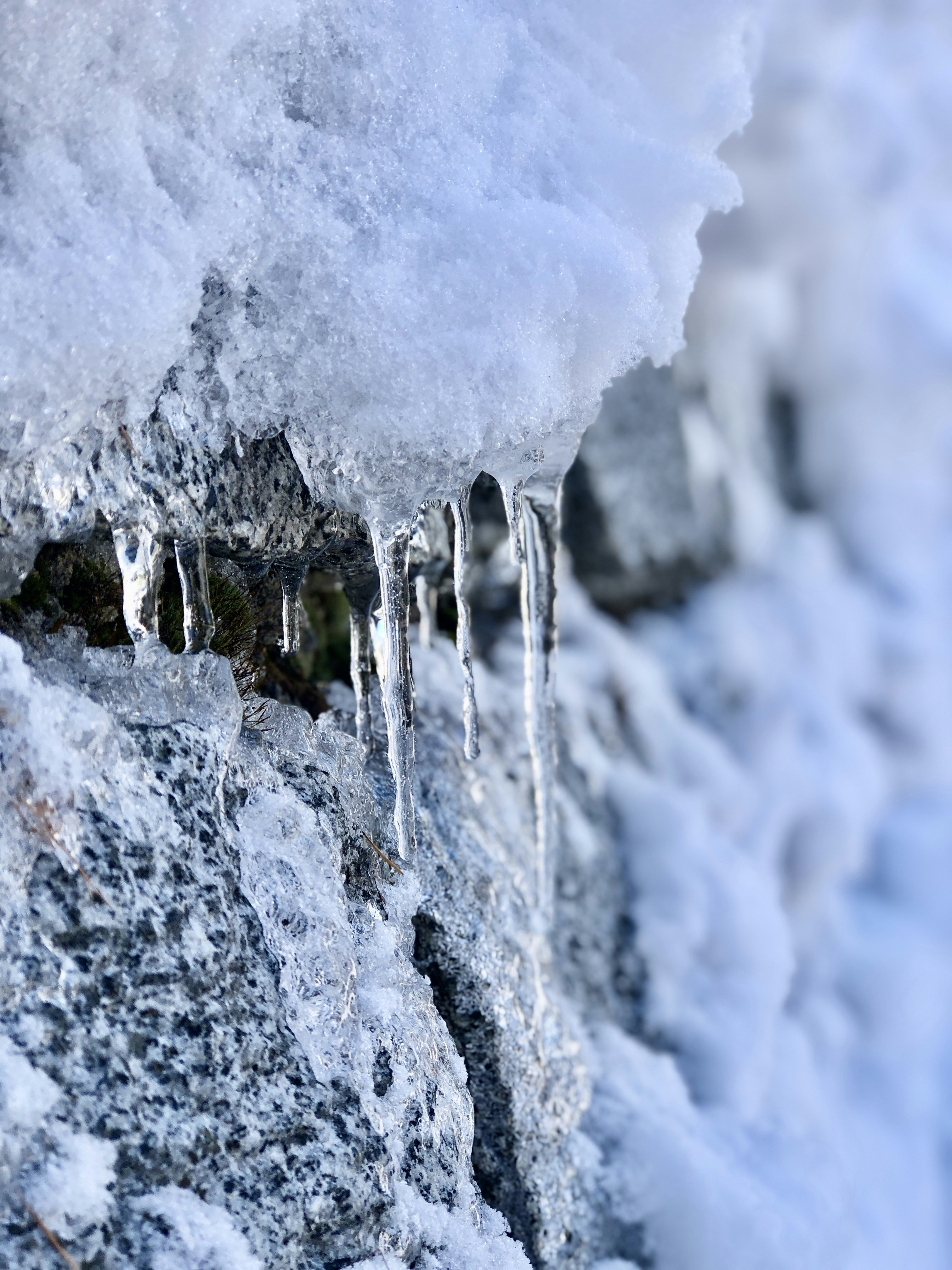 Icicles hanging from a snow-covered granite rock face.