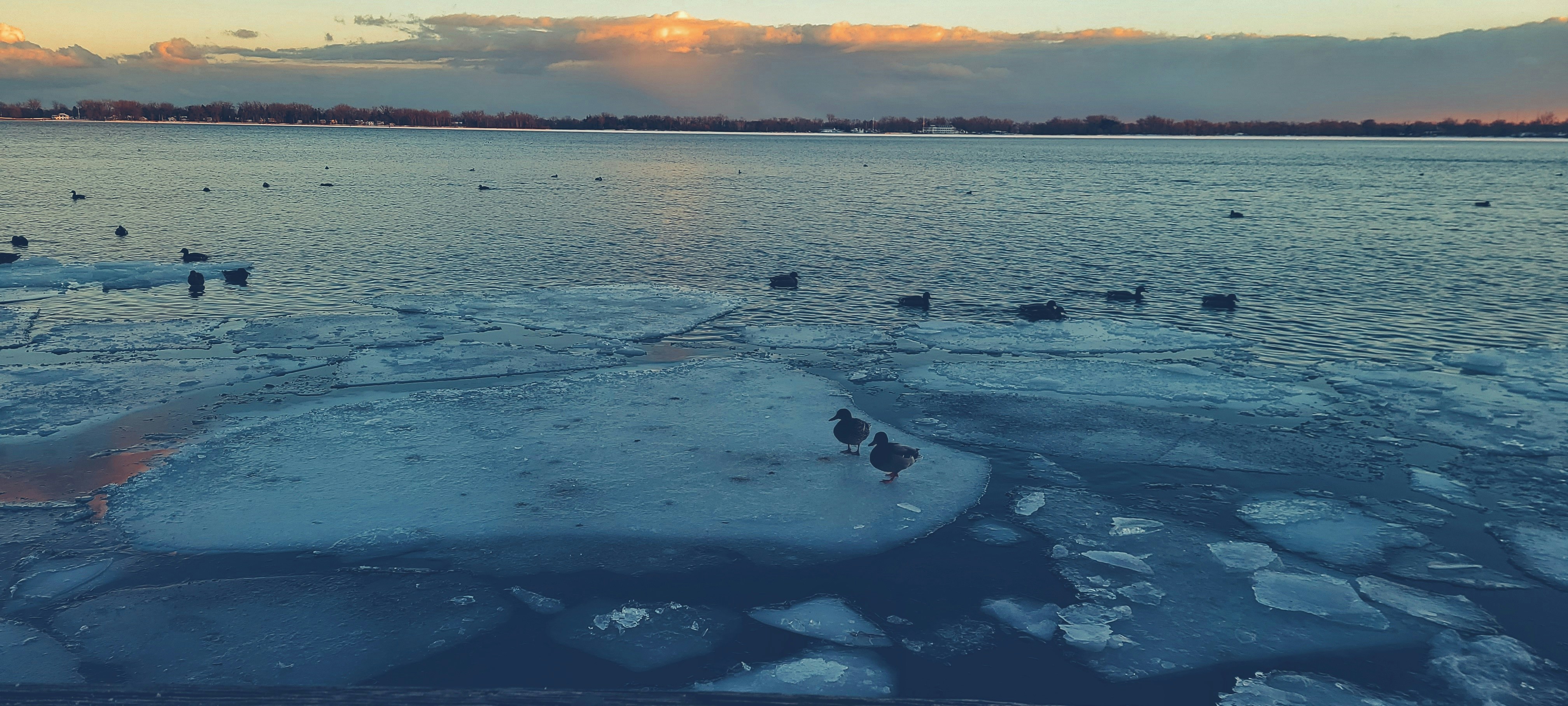 Chill Reflections: A Winter's Embrace