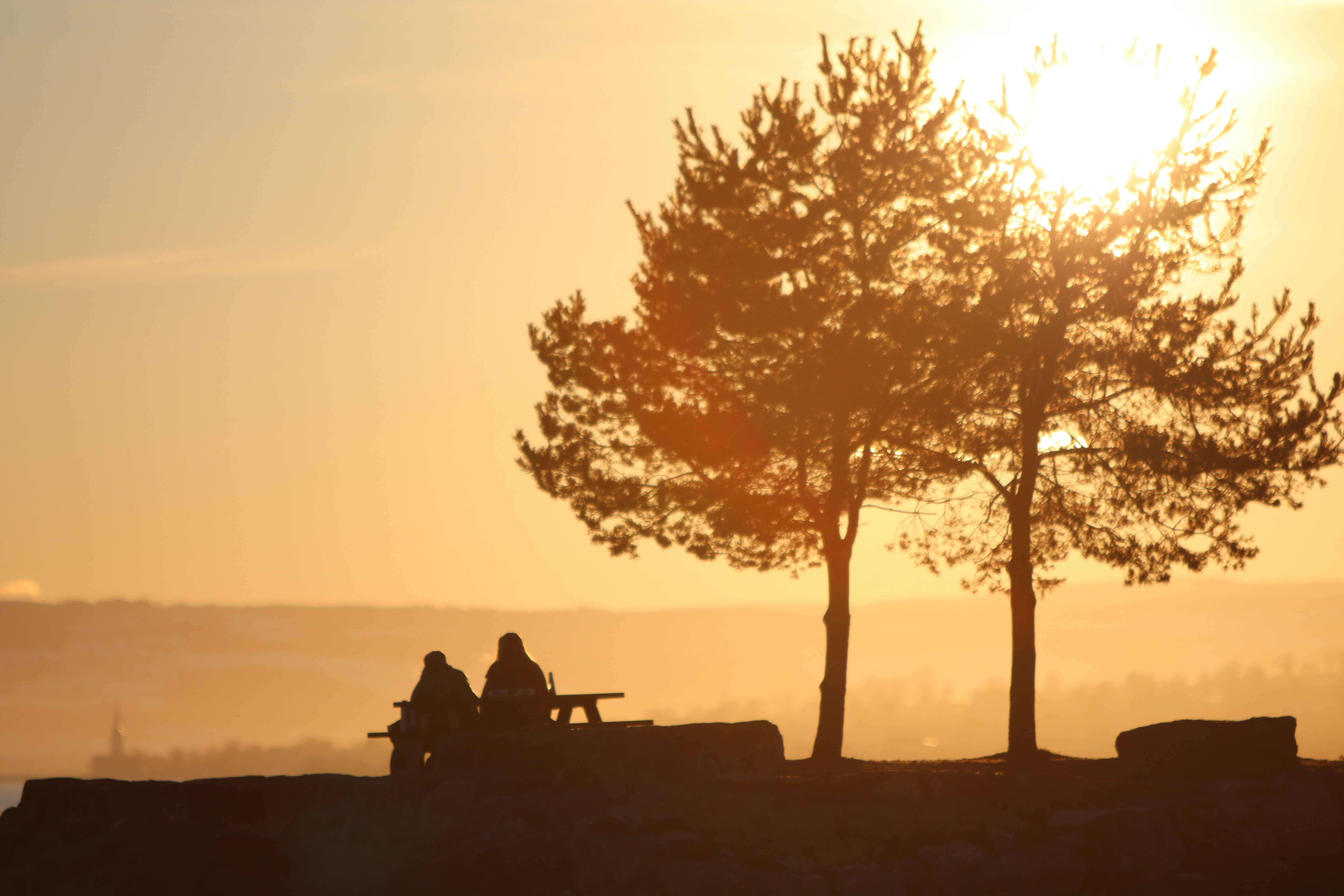 Silhouette de 2 personnes assises sur un banc près d’un arbre pendant ...