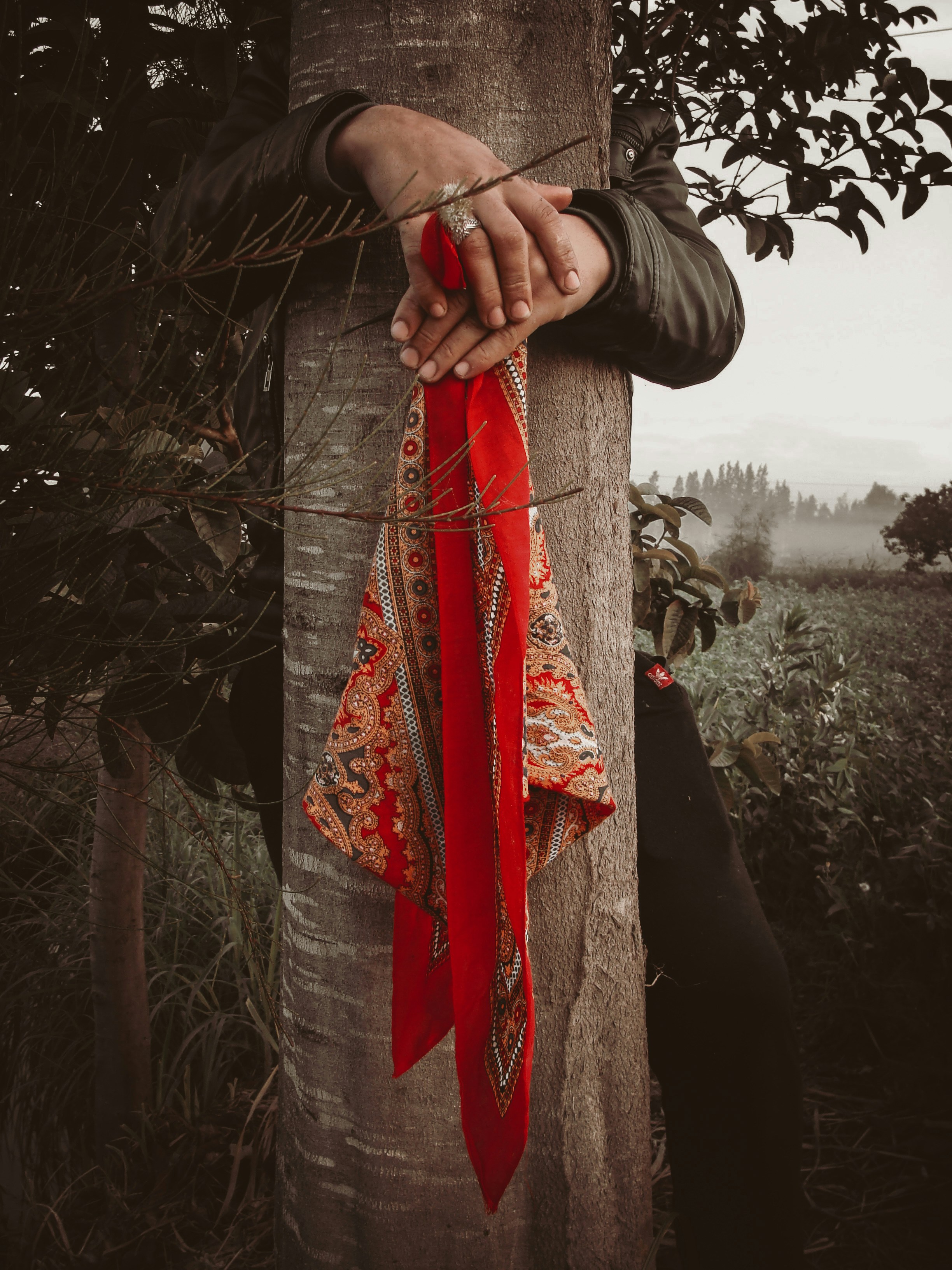 Hands grip a tree trunk with a red patterned scarf cascading down, set against a muted rural landscape. The textile serves as the visual focal point of the scene.