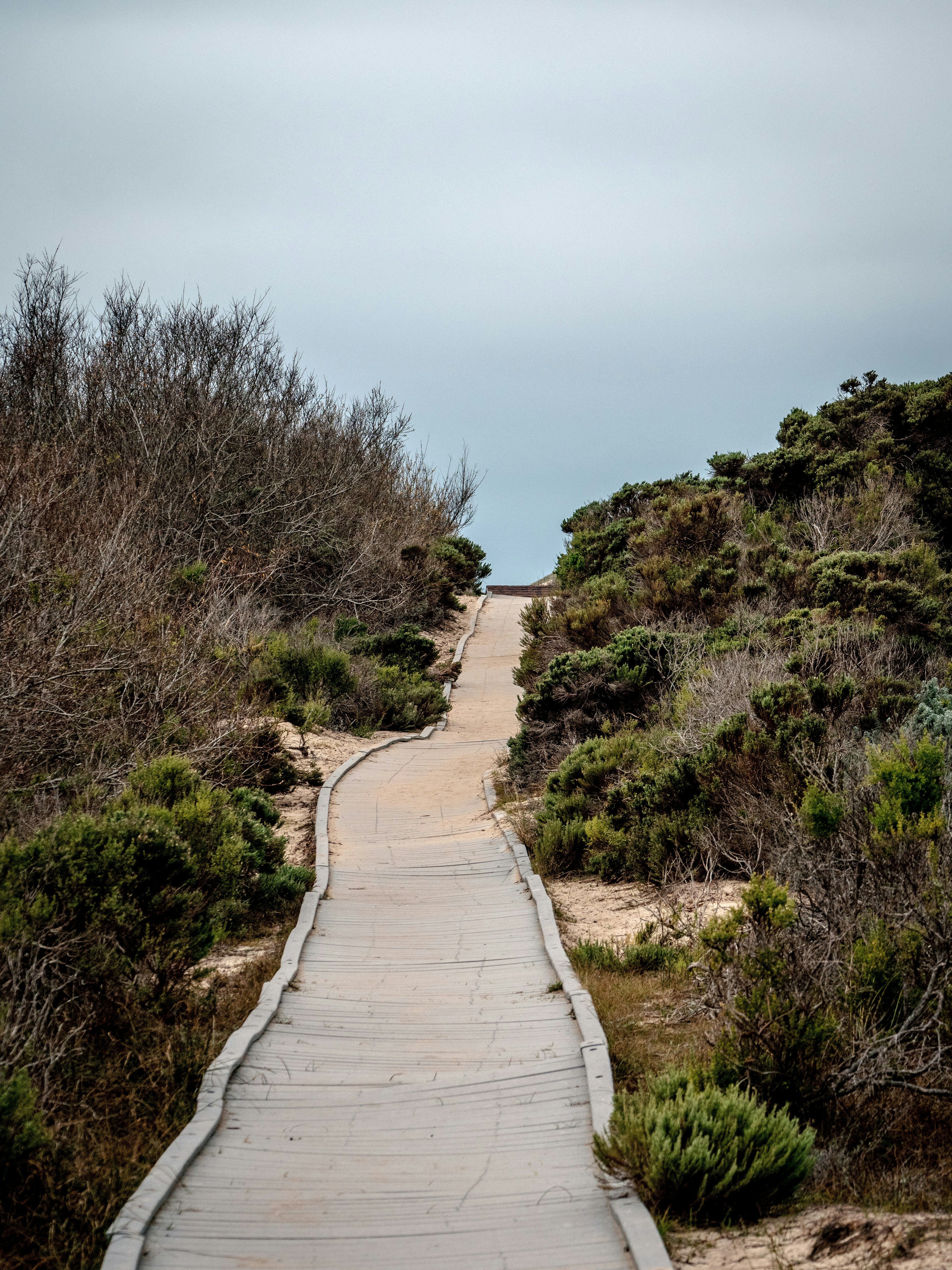 Gray concrete pathway between green grass and trees during daytime ...