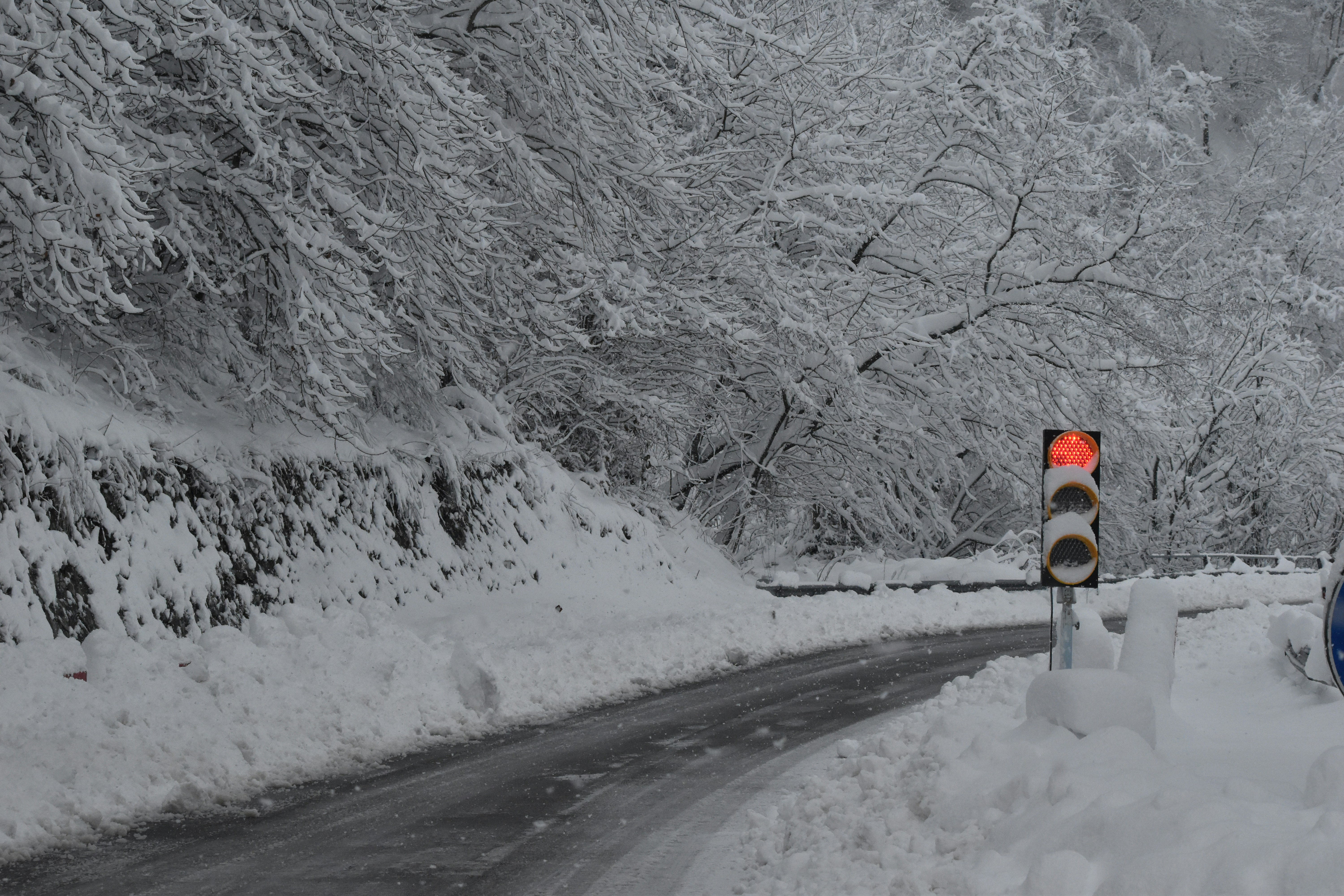 Snow-covered road with a single black car driving past a traffic light surrounded by frosted trees.