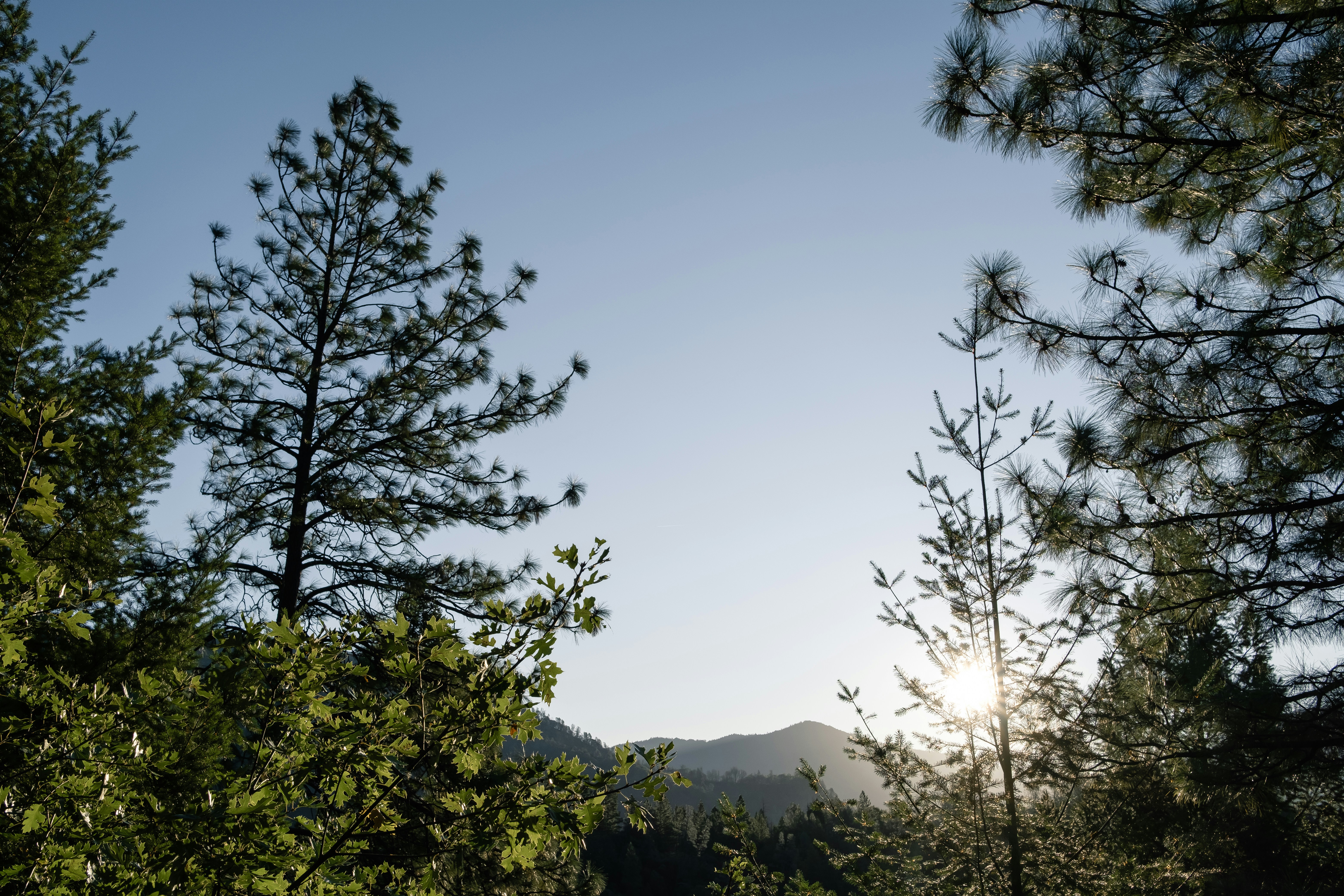 Grant Ritchie (@grantritchie) | Unsplash Photo Community