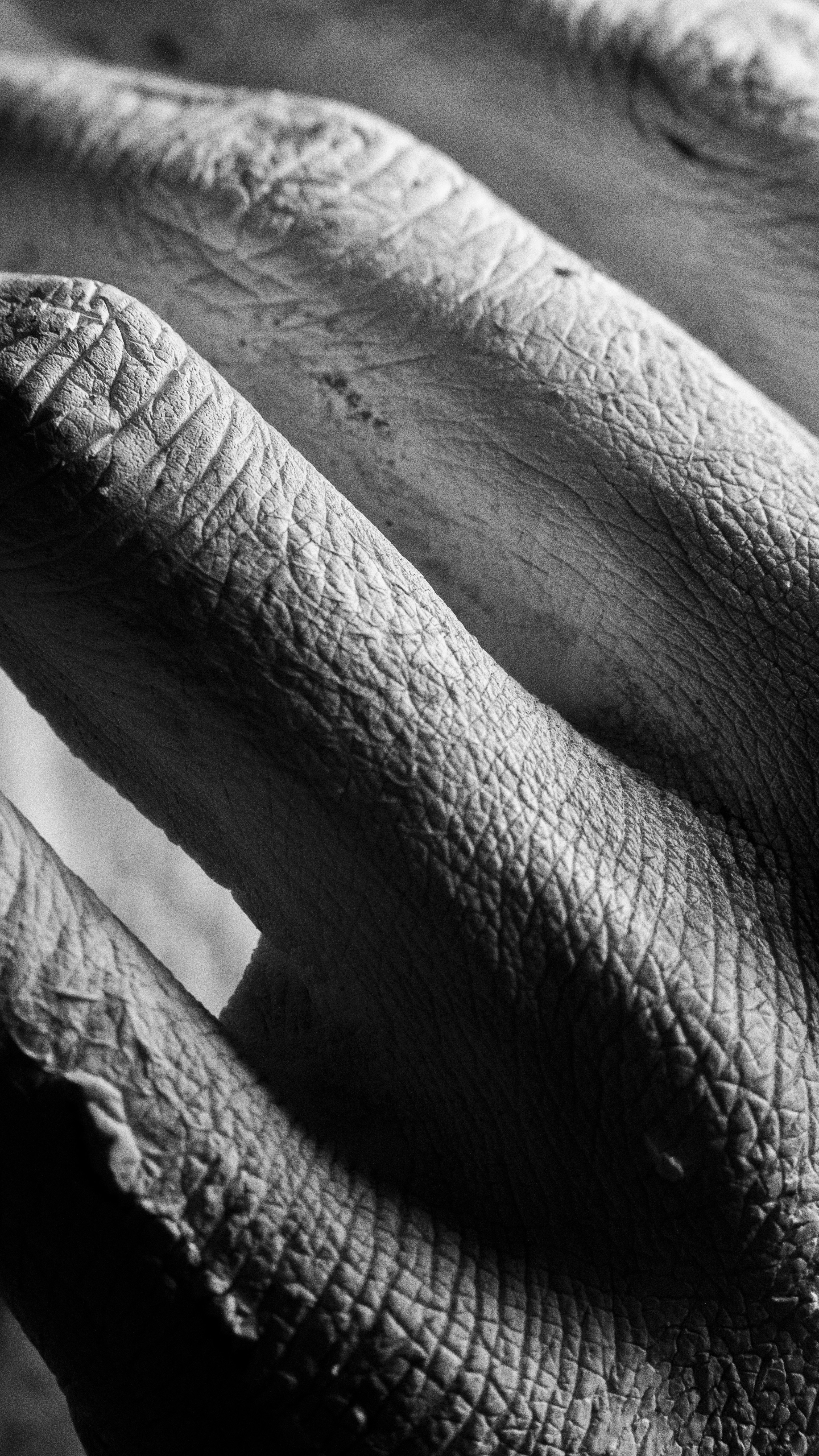 Close-up of textured, aged hands showcasing intricate details and the passage of time.