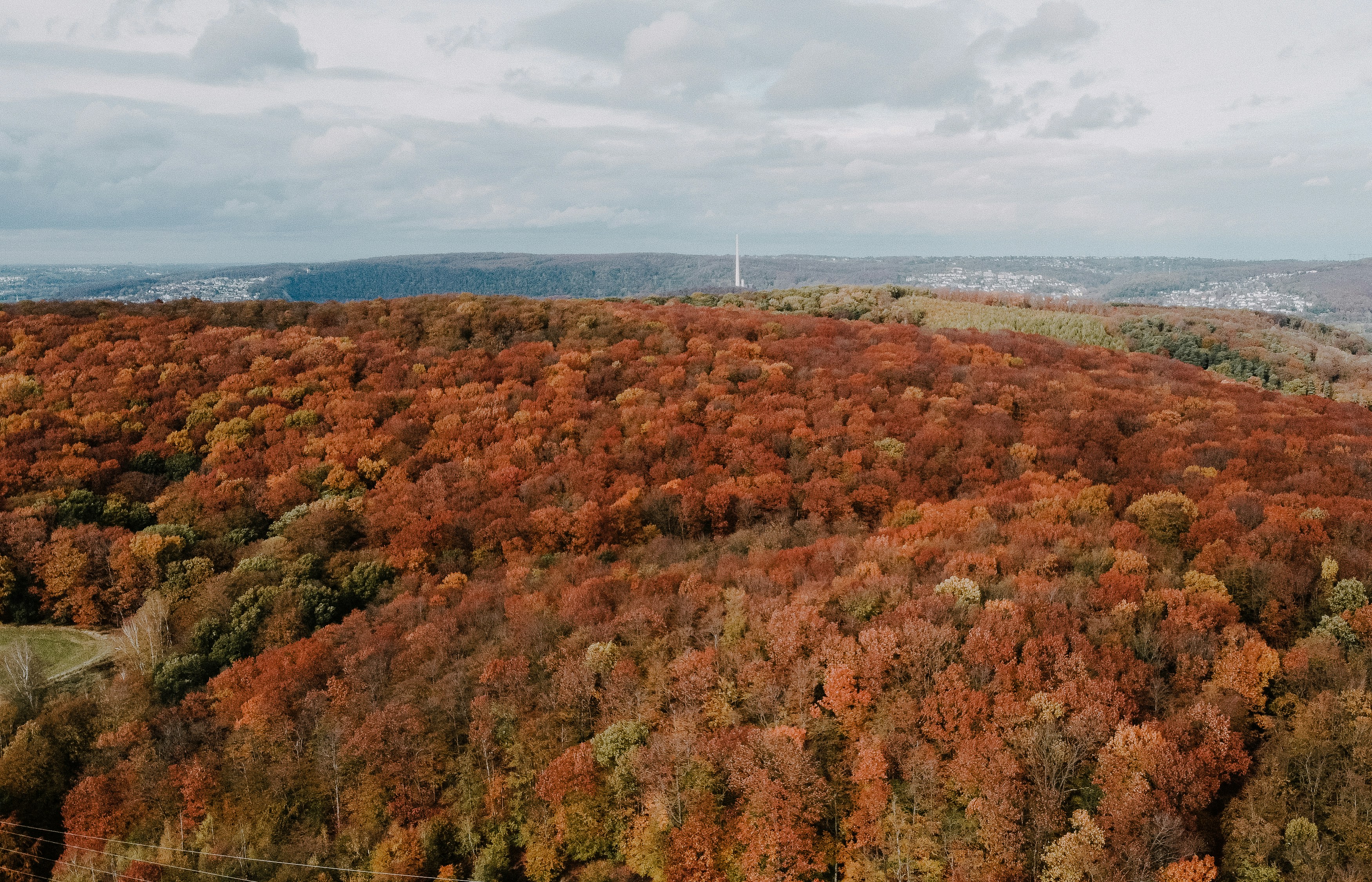 Expansive view of a forest ablaze with fall colors under a cloudy sky.