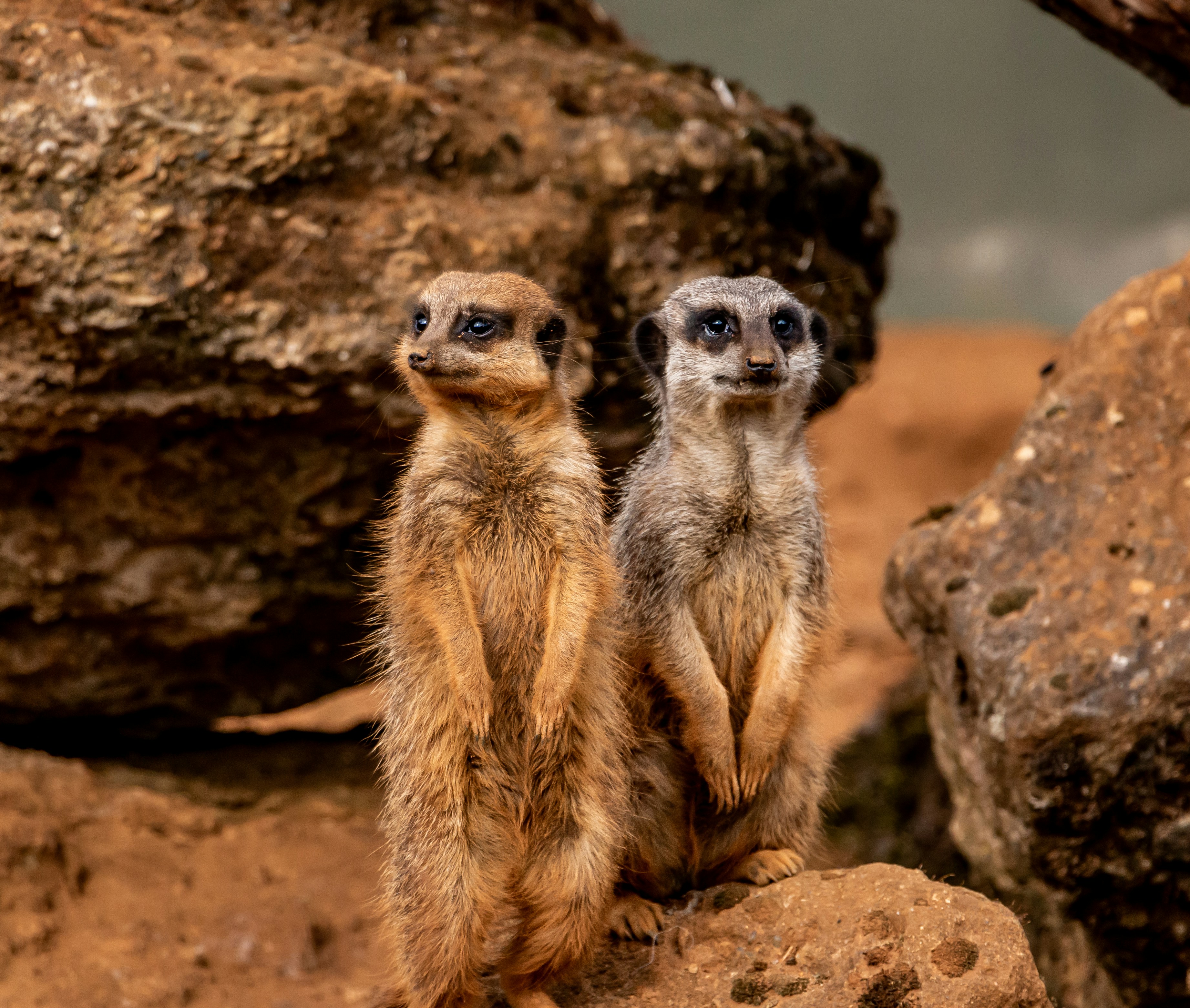 Parc Beale Photos | Télécharger des images gratuites sur Unsplash