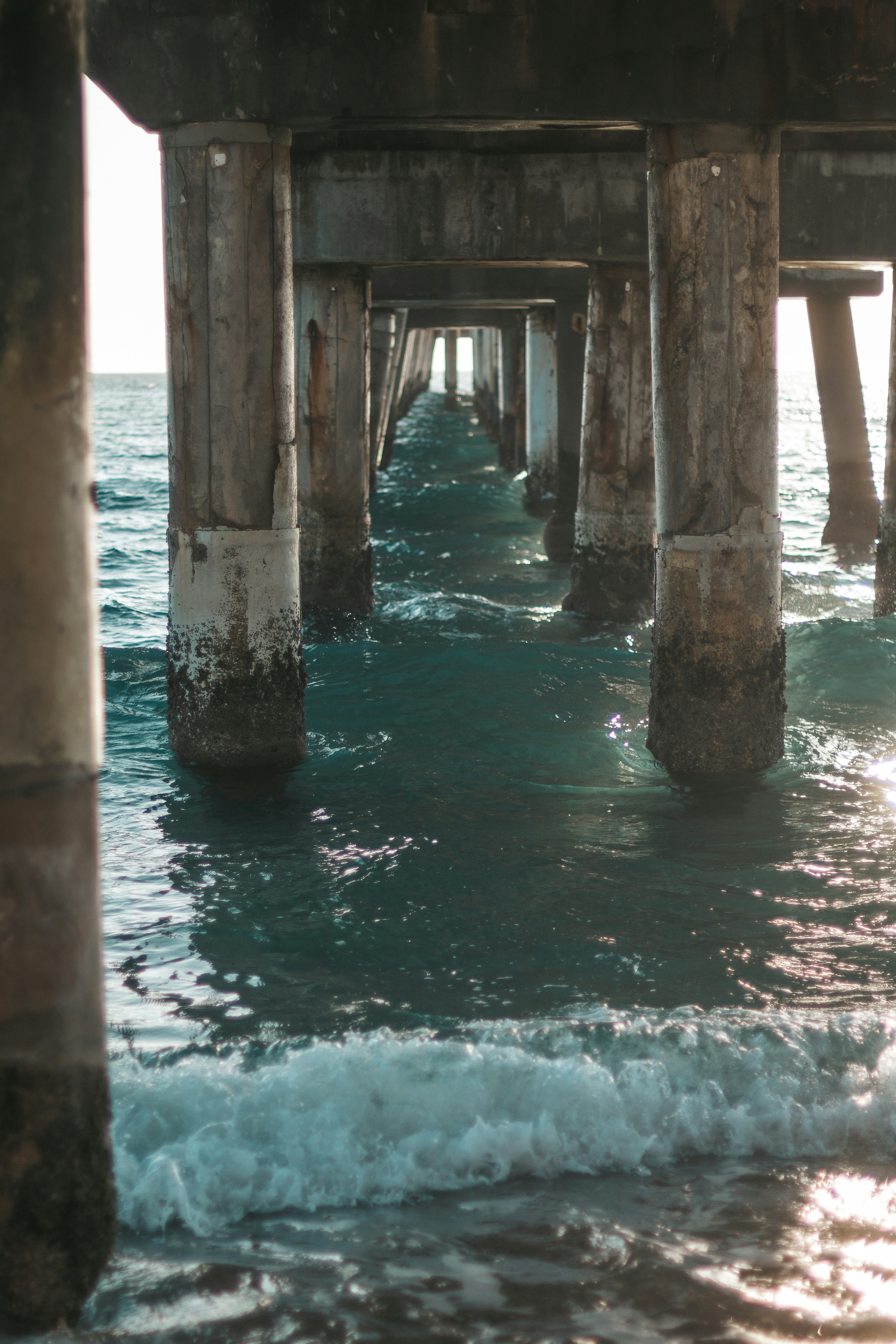 Brown wooden dock on body of water during daytime photo – Free Grey ...