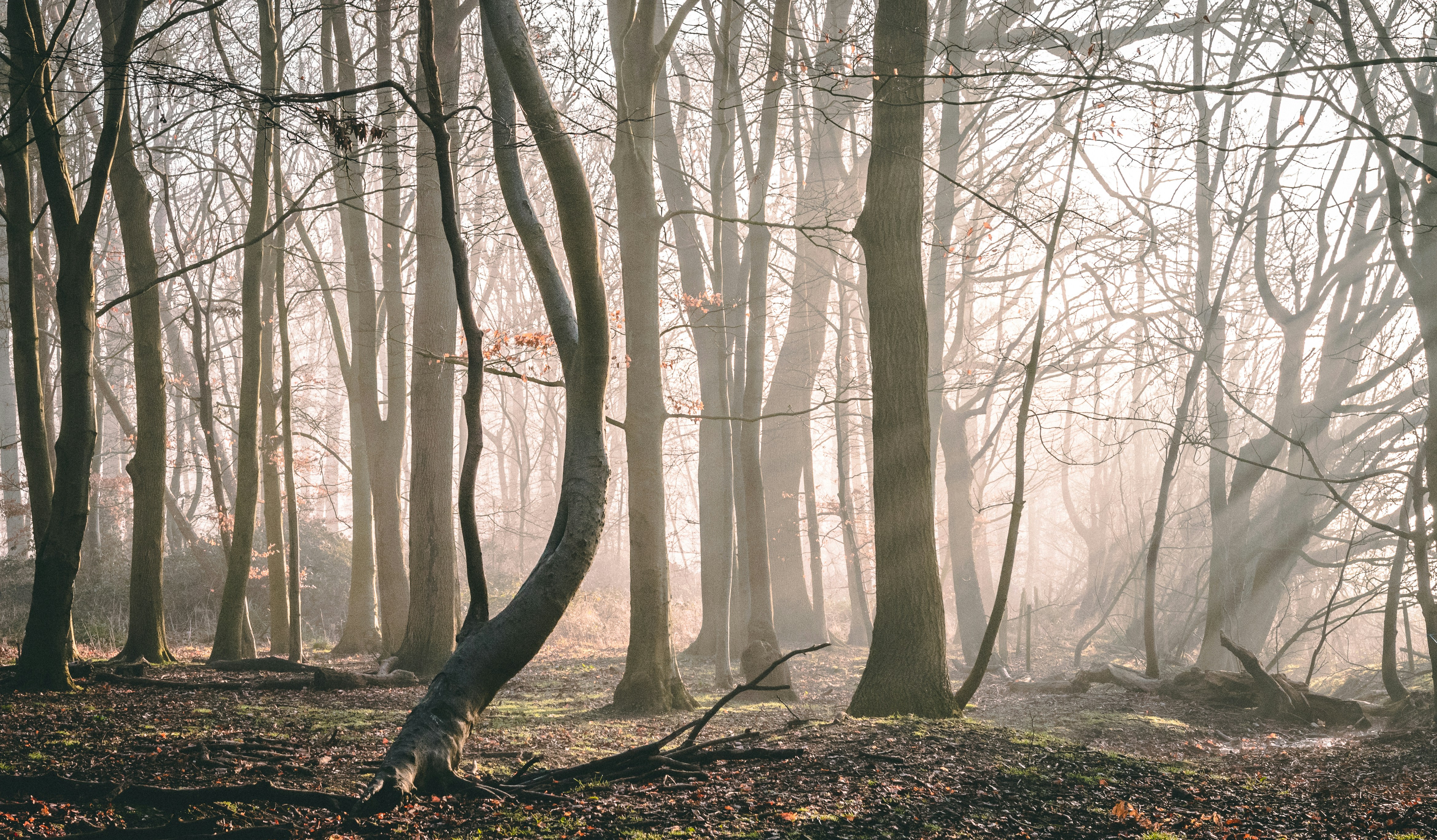 Photo by Simon Godfrey with Nikon D500