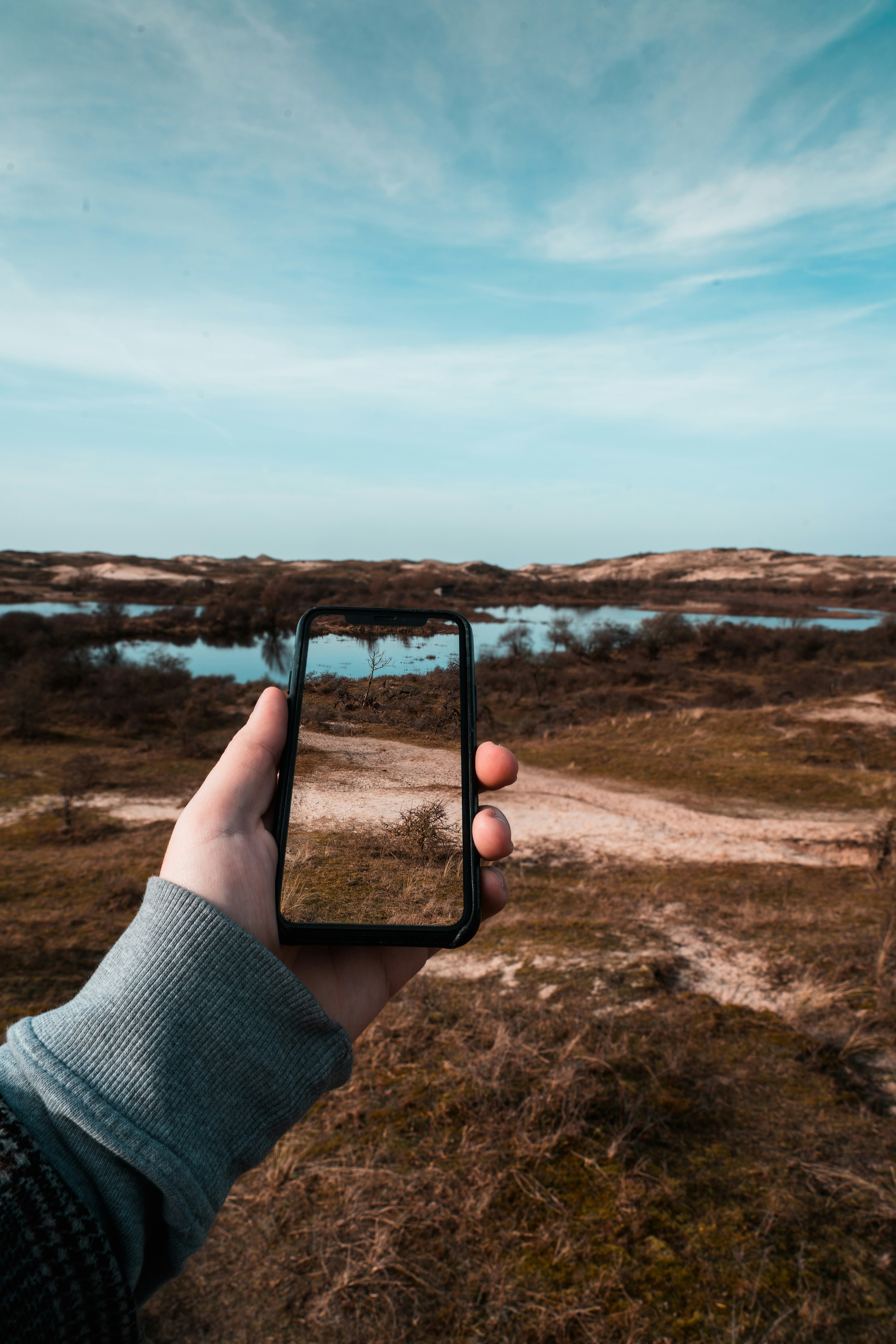 Hold the Horizon: Framing a Quiet Marsh through a Smartphone Viewfinder