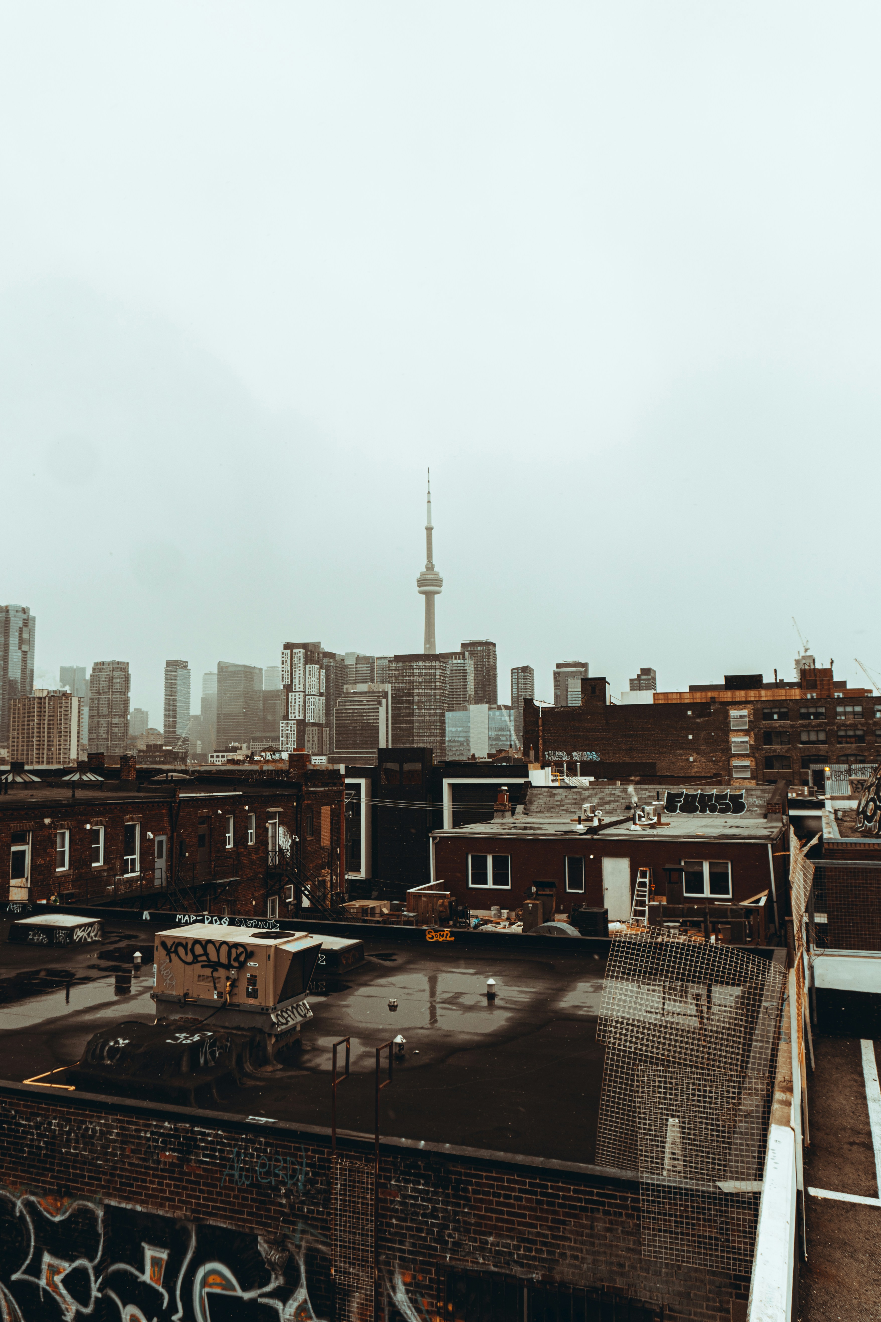 Towering Quiet: CN Tower Rising Over Graffiti-Clad Rooftops in a Pale Toronto Morning