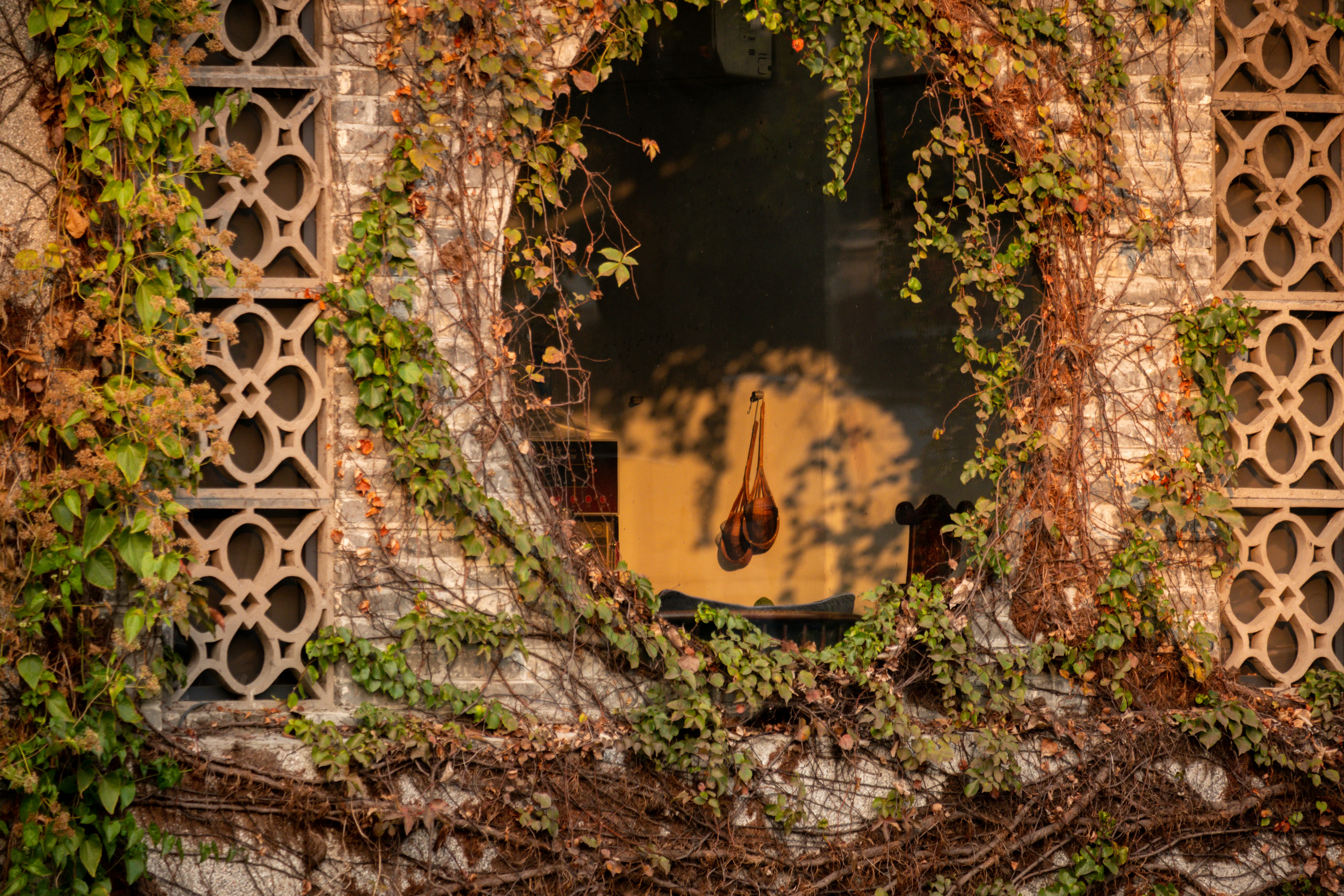 A moss-wrapped circular window framed by lattice and creeping ivy, revealing a warm lantern inside.