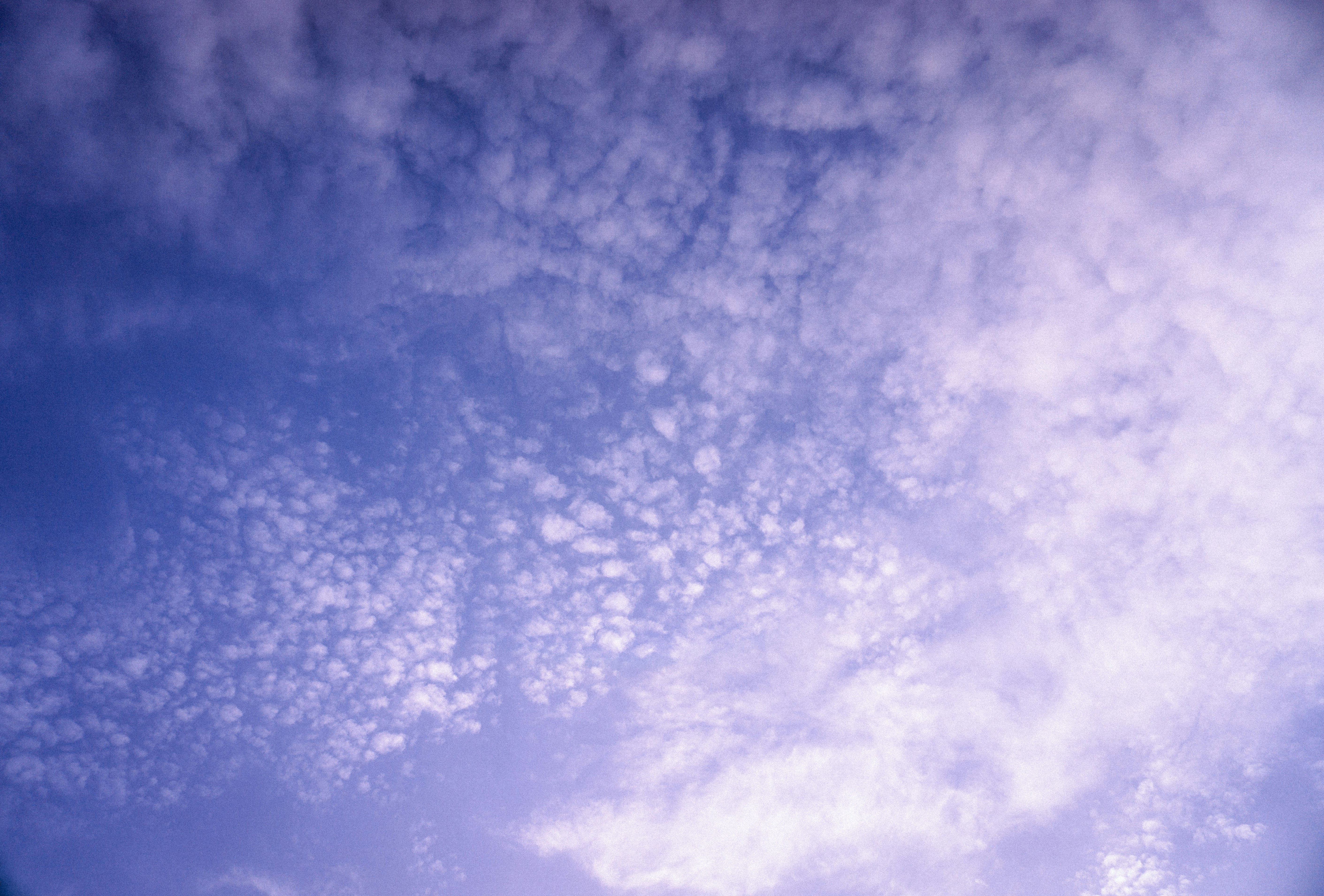 A vast expanse of sky filled with delicate, wispy clouds illuminated by soft light.