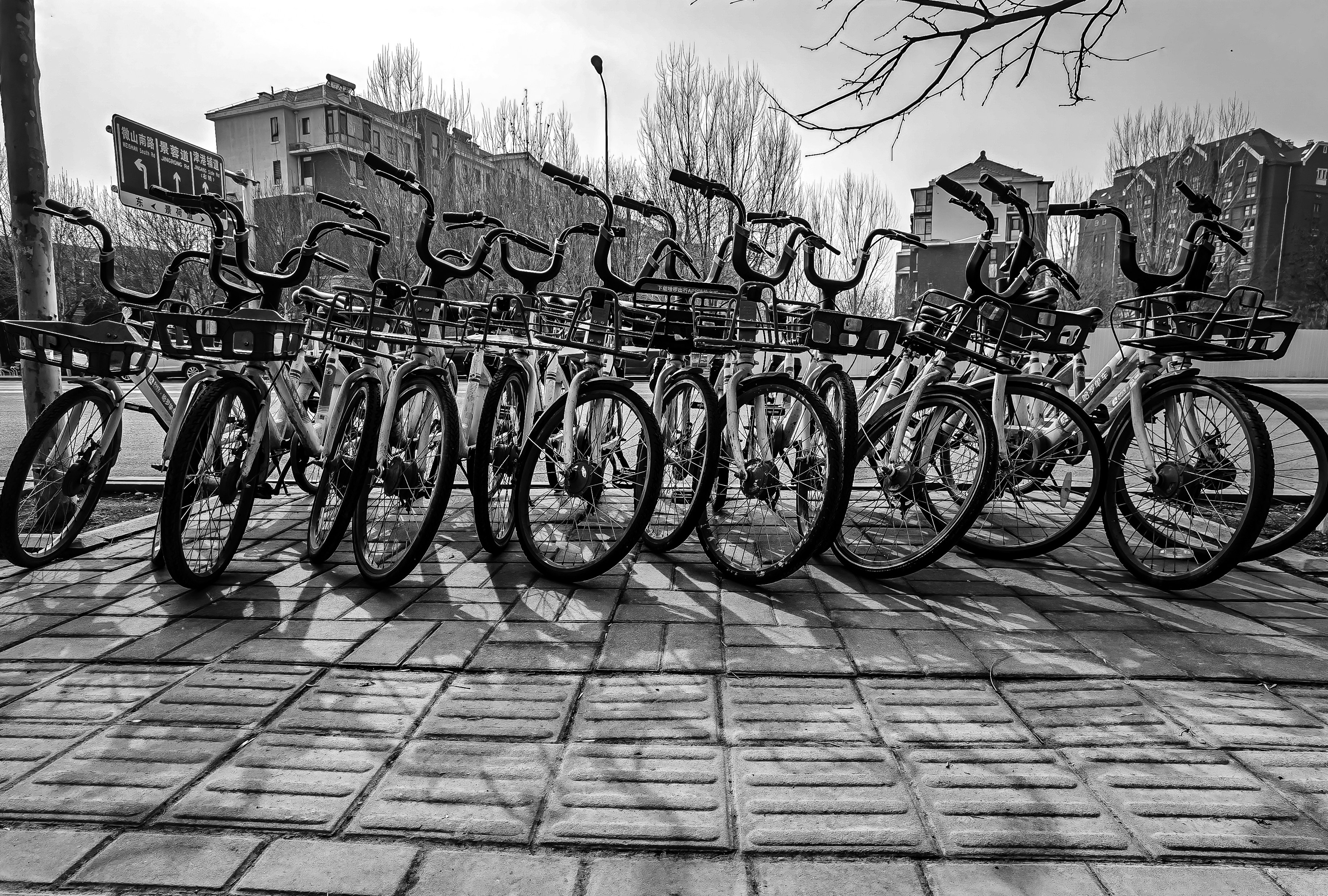 Black-and-white photograph of a neat row of bicycles parked along a tiled plaza, their handlebars creating a repeating rhythm against an urban backdrop. Leafless trees and distant buildings add a stark, minimalist mood.