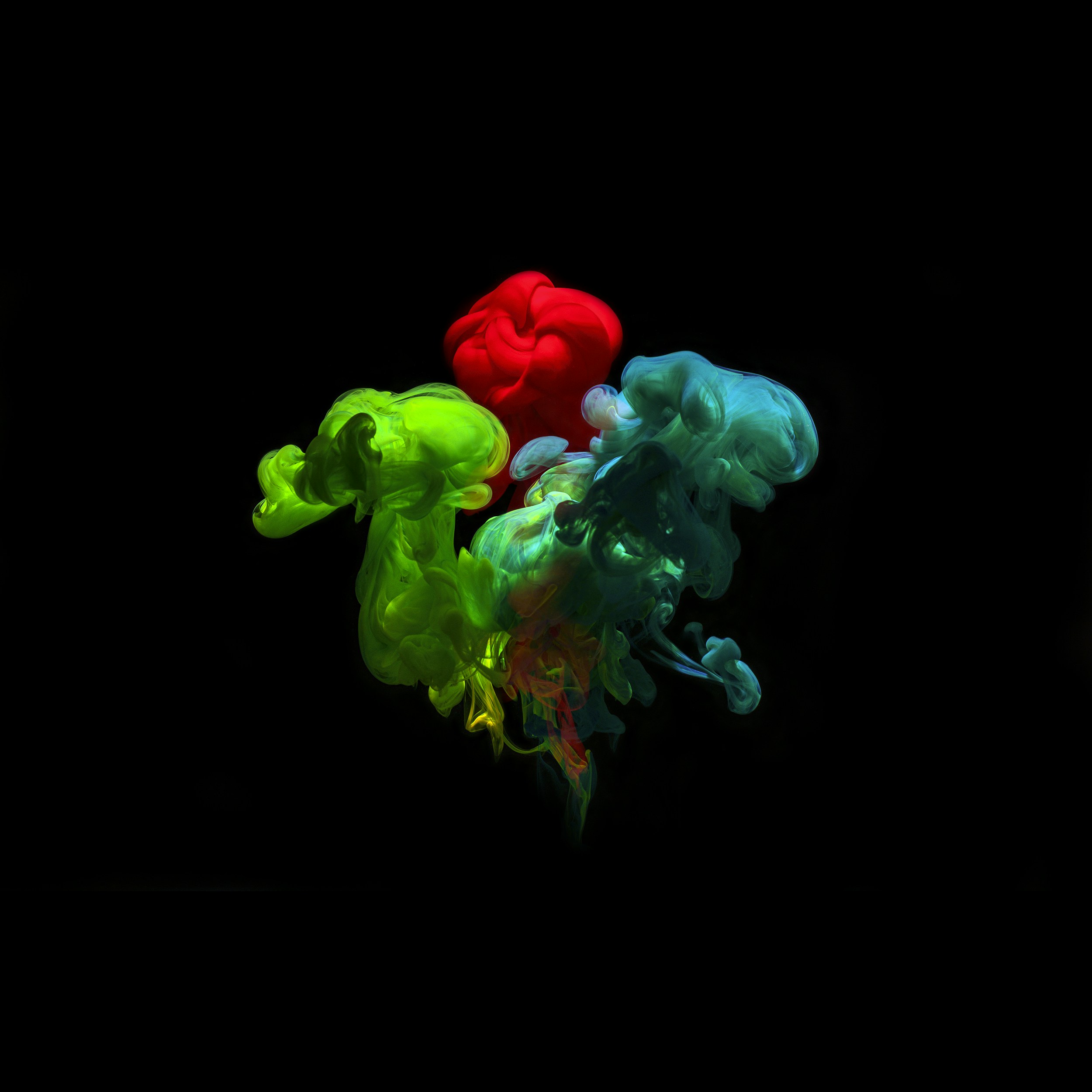 500+ Rgb Pictures | Download Free Images on Unsplash