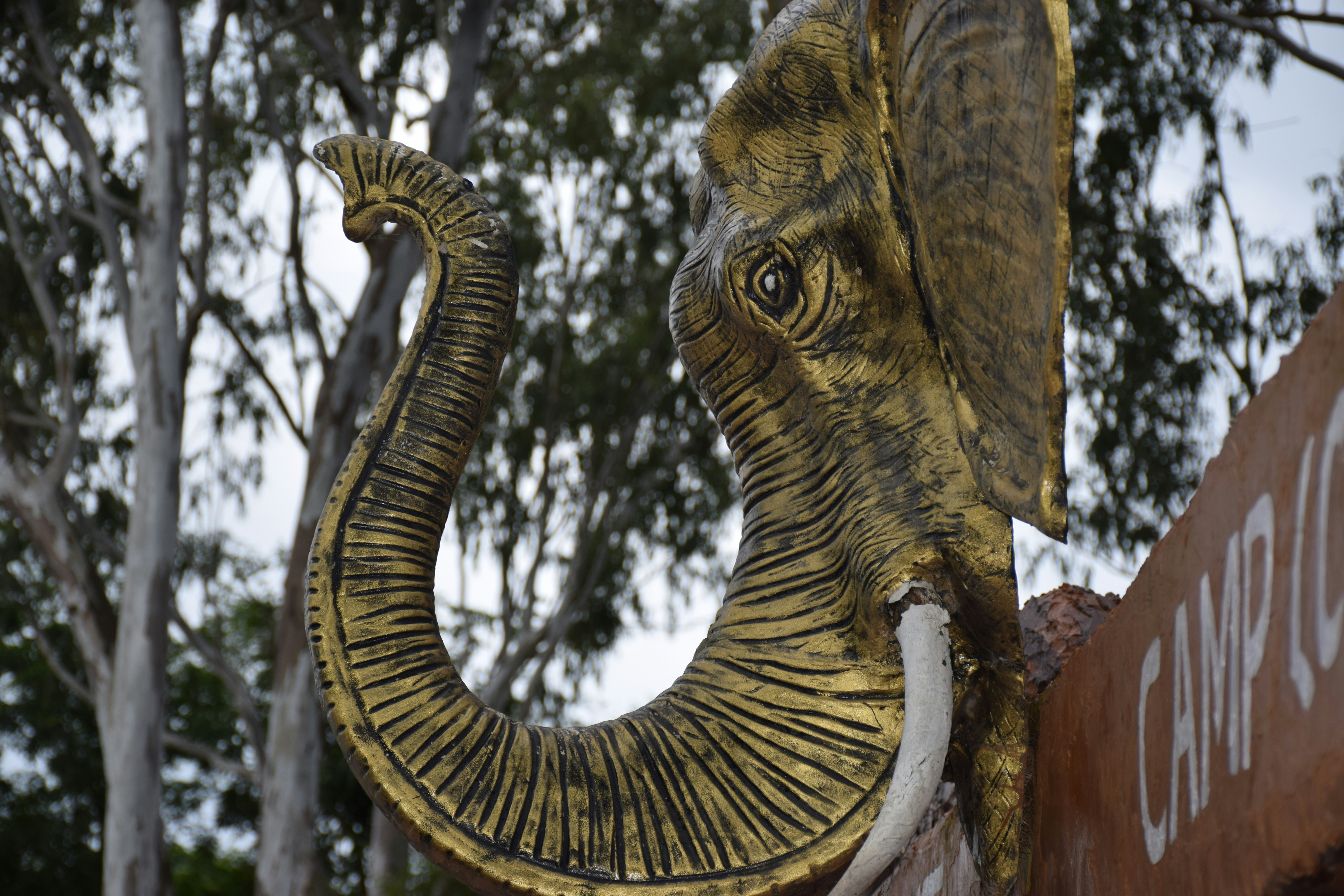 Golden elephant sculpture with intricate detailing, framed by natural foliage. The artwork stands out against a rustic backdrop.