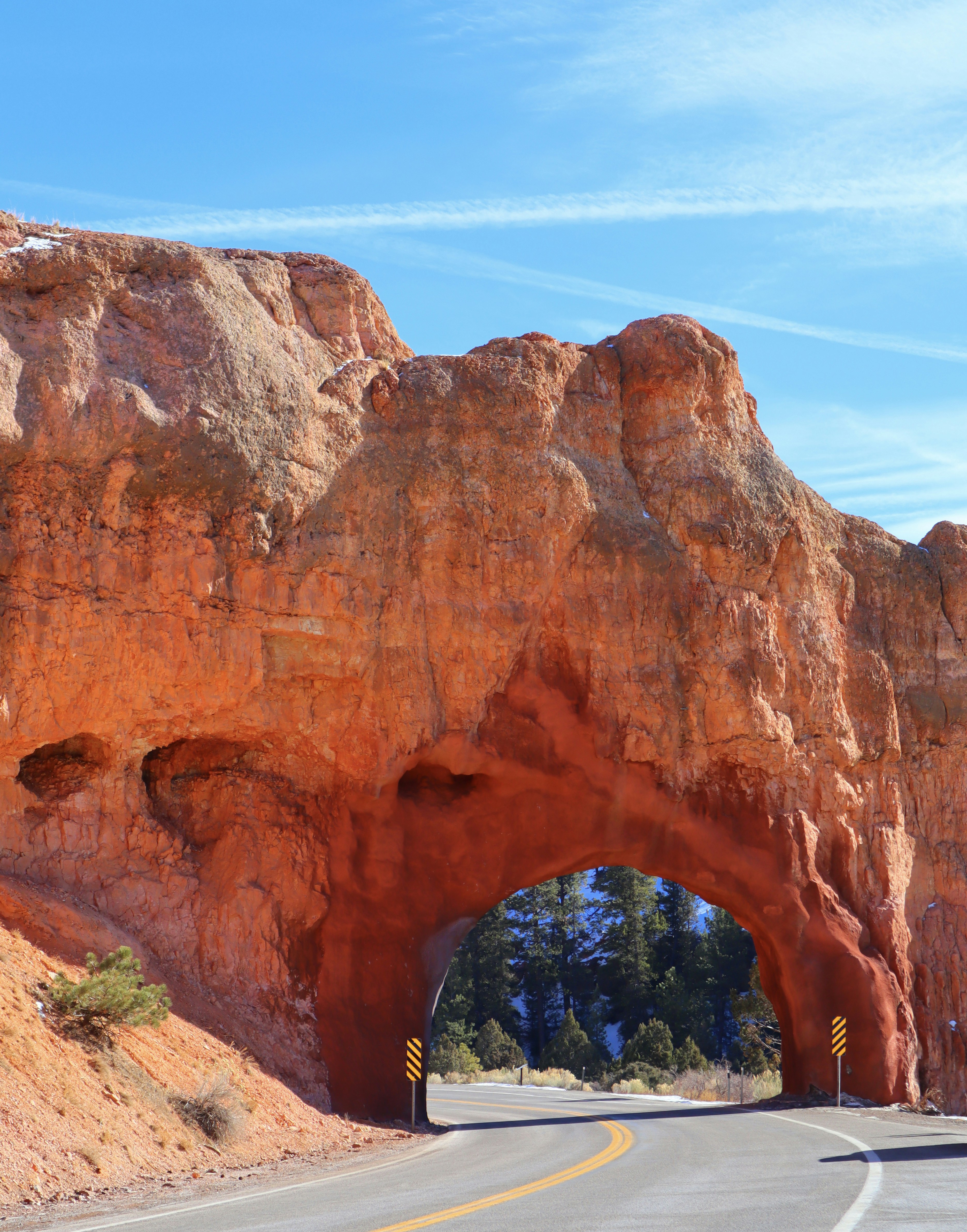 Crimson Gateway: The Road Passing Through a Living Red Rock Arch