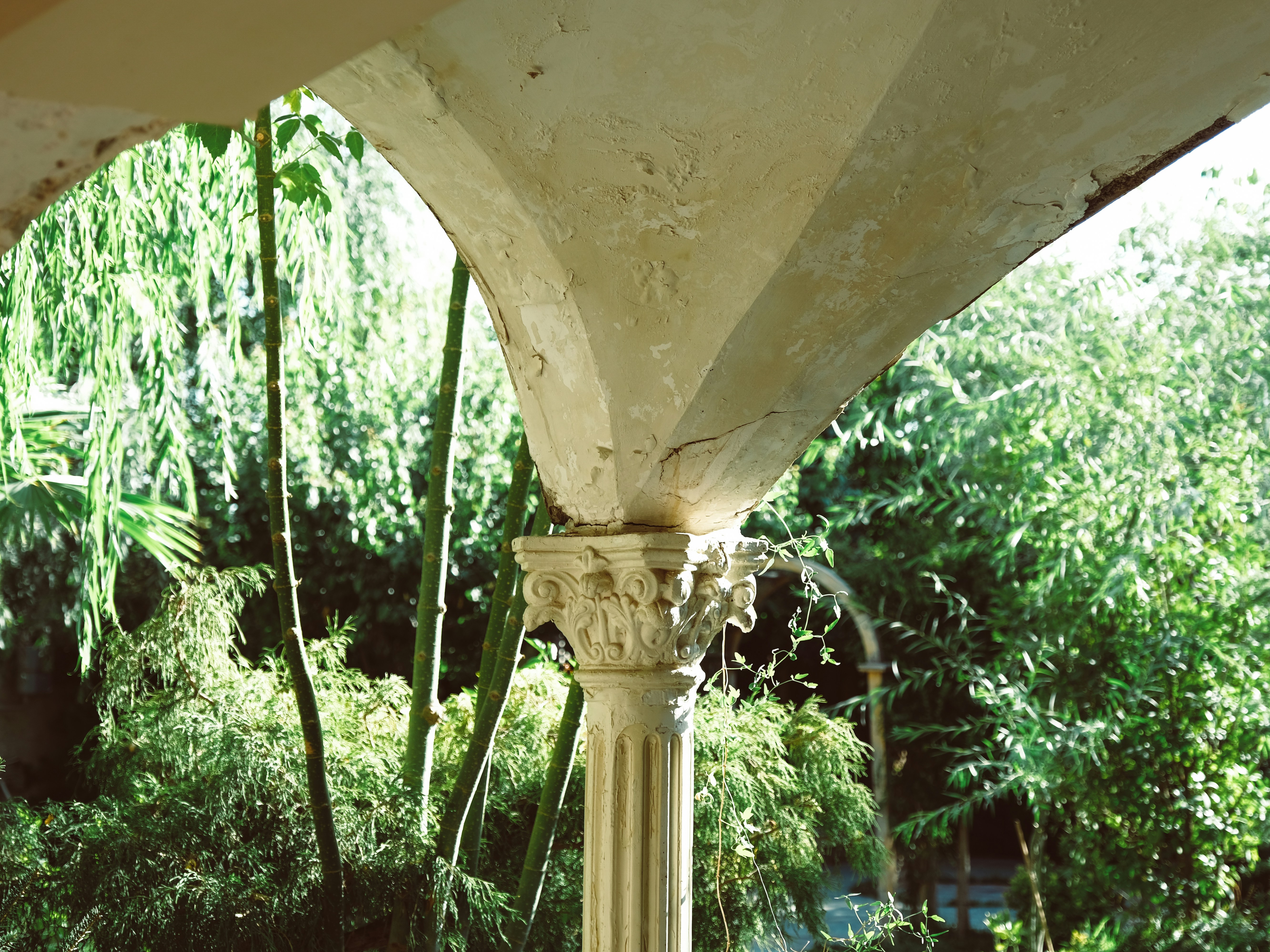 Photo by Sam Moghadam