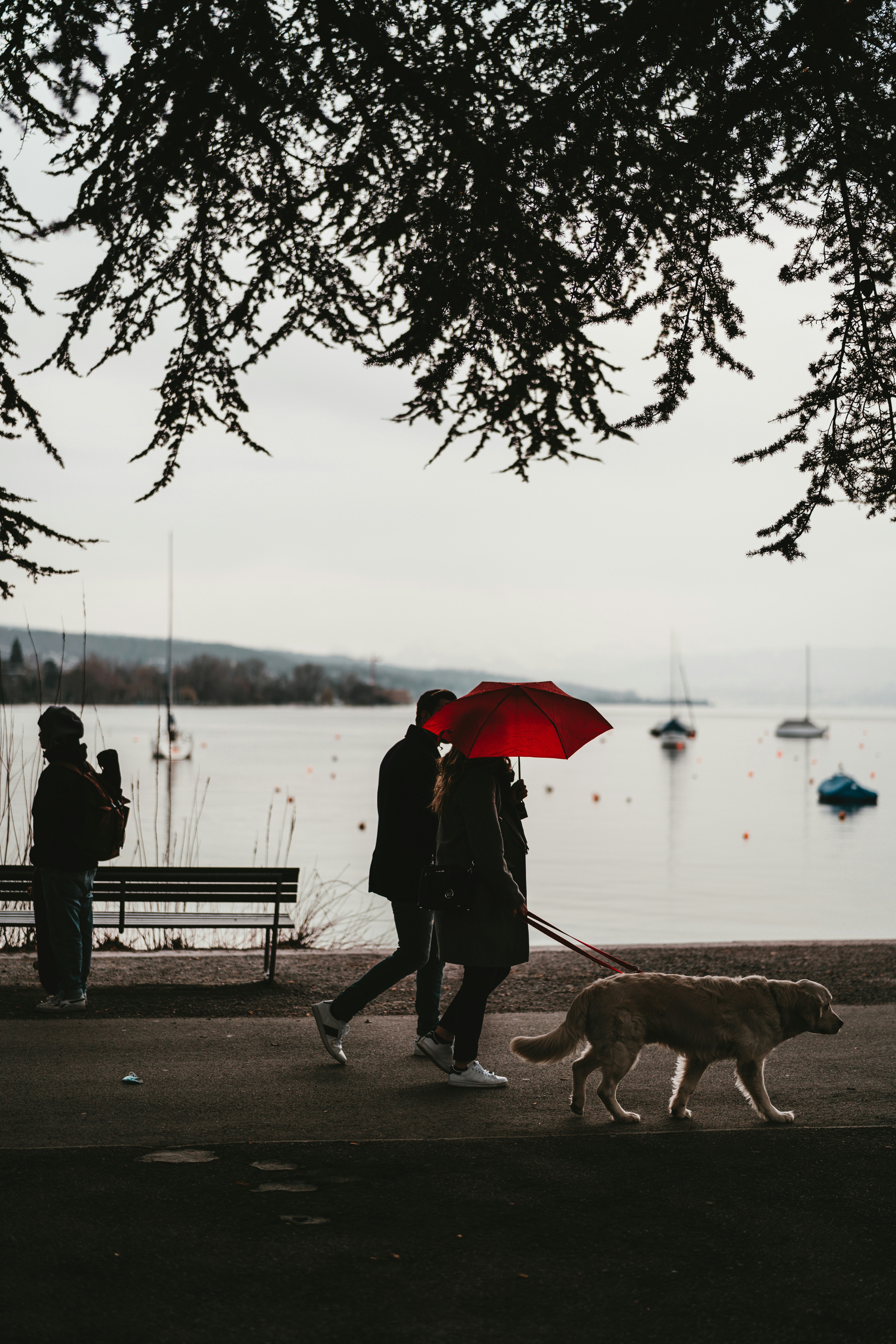 Couple strolling along a lakeside path, sharing a bright red umbrella, while a golden retriever accompanies them. Soft reflections of boats shimmer on the water's surface.