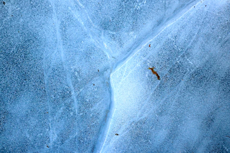 Blue Ice Veins Converge: a quiet fracture portrait