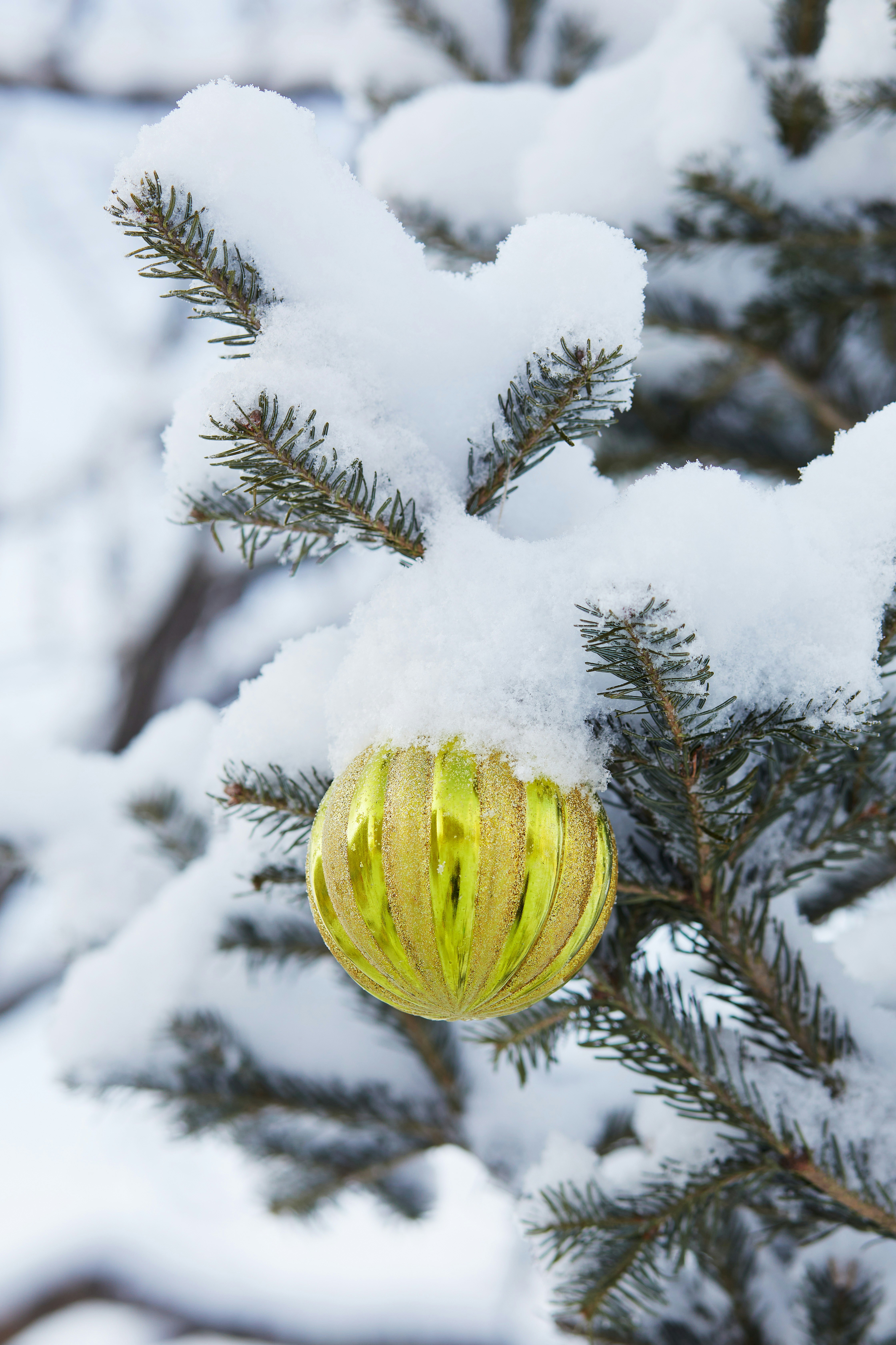 A golden ornament hanging from a snow-covered evergreen branch, surrounded by a blanket of fresh snow. The scene evokes a festive winter atmosphere.