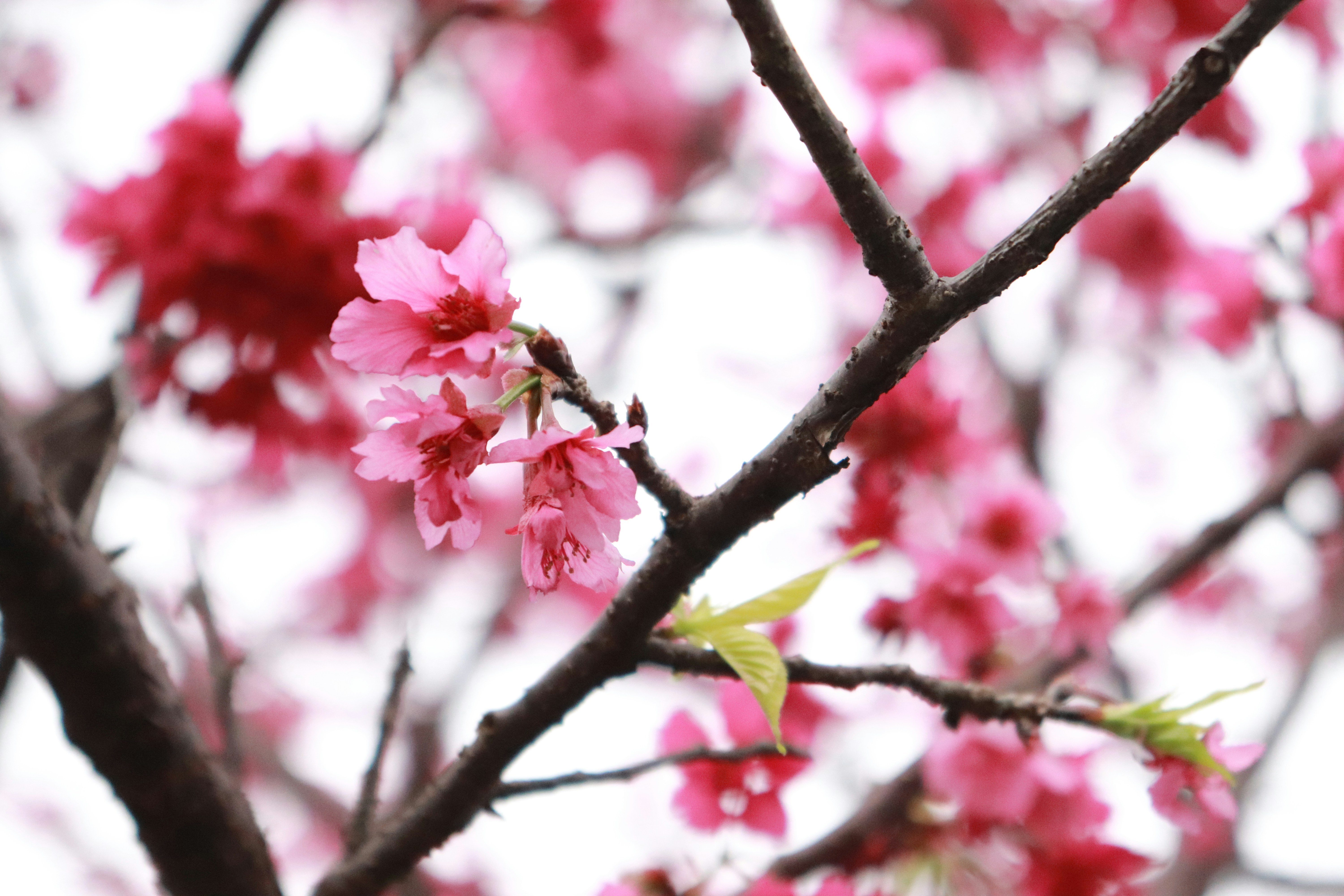 wen (@wen7) | Unsplashフォトコミュニティ