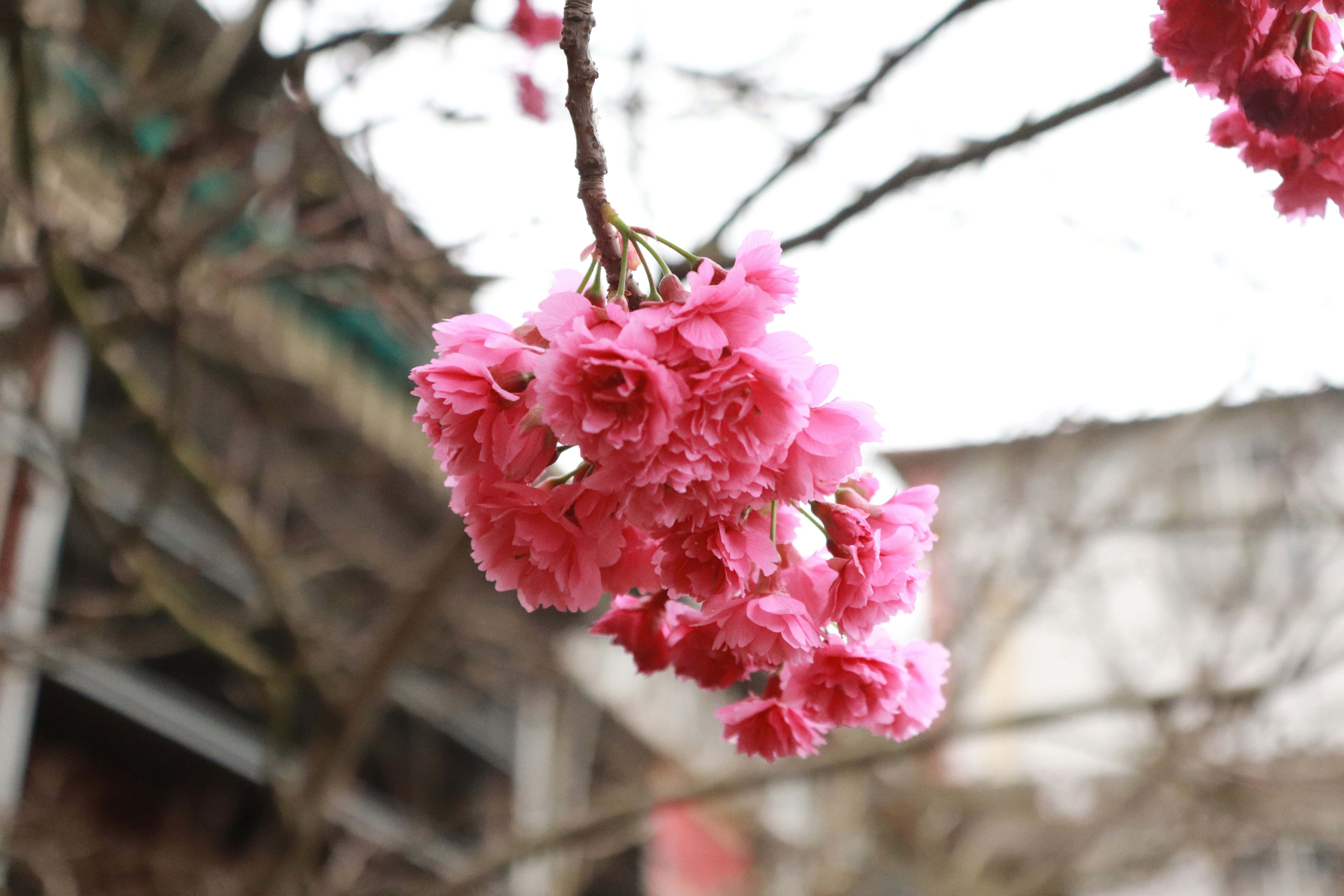 wen (@wen7) | Unsplashフォトコミュニティ