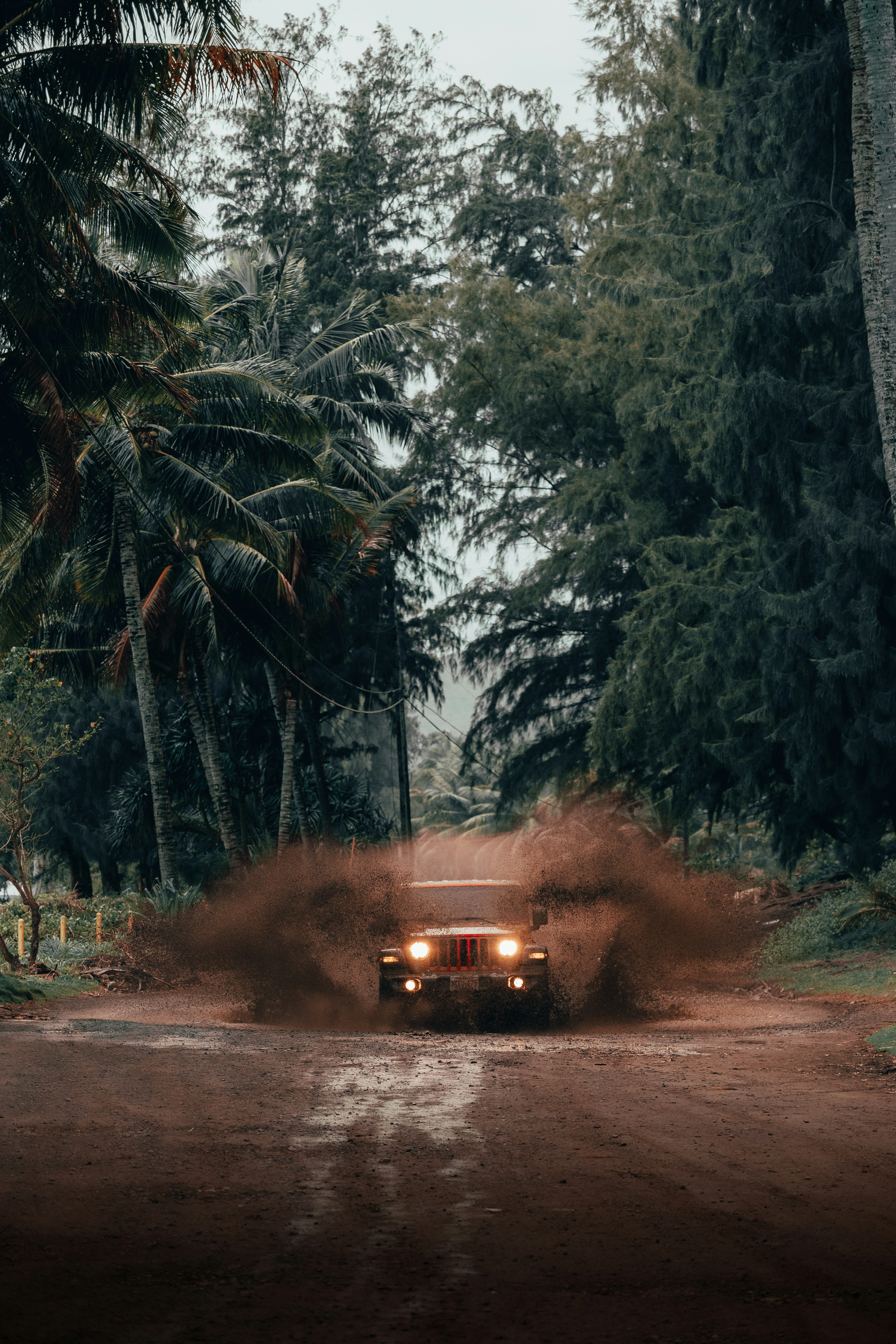 A rugged vehicle splashes through a muddy road surrounded by lush palm trees, showcasing the thrill of off-road adventure.