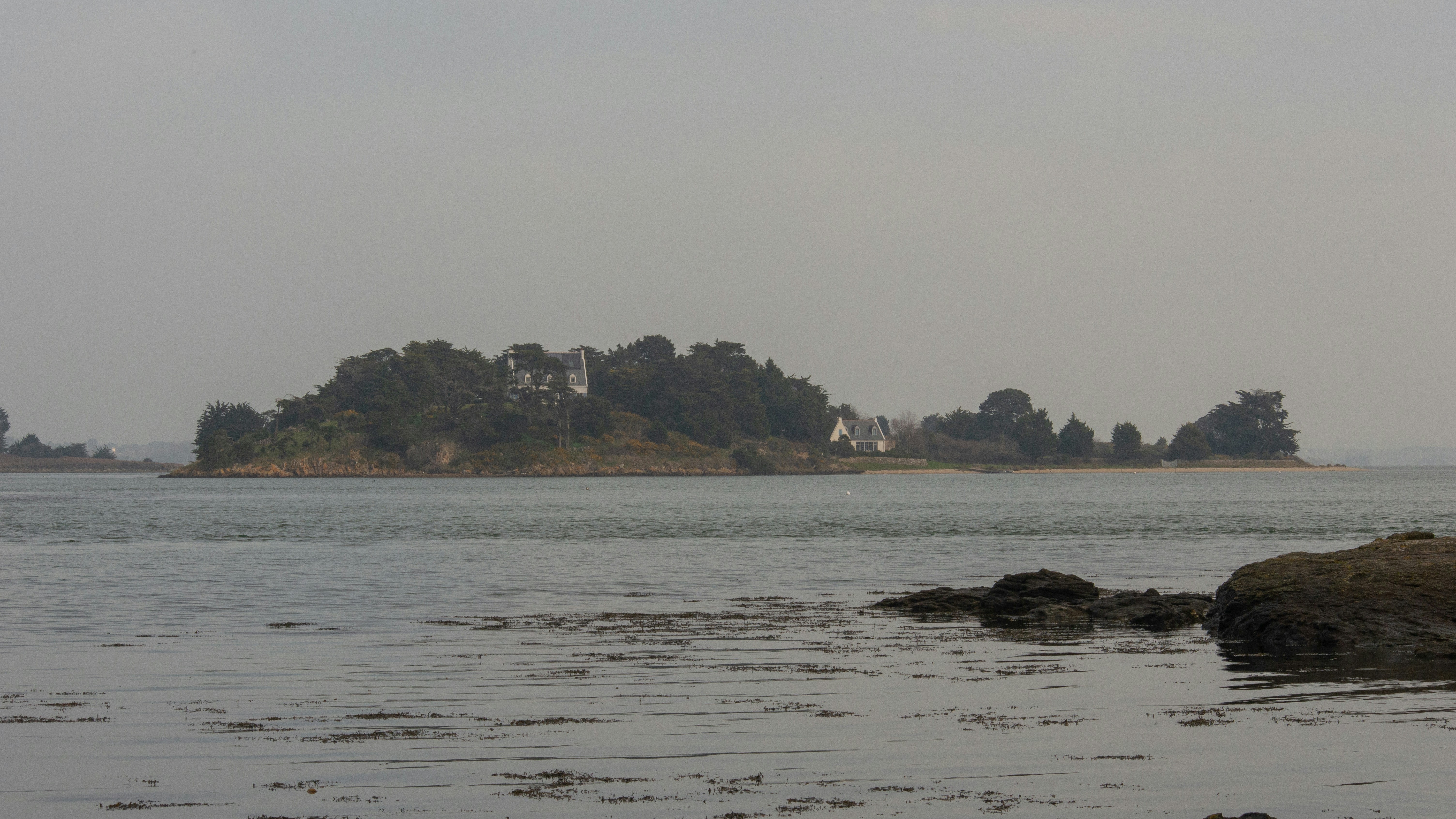 body of water near green trees during daytime