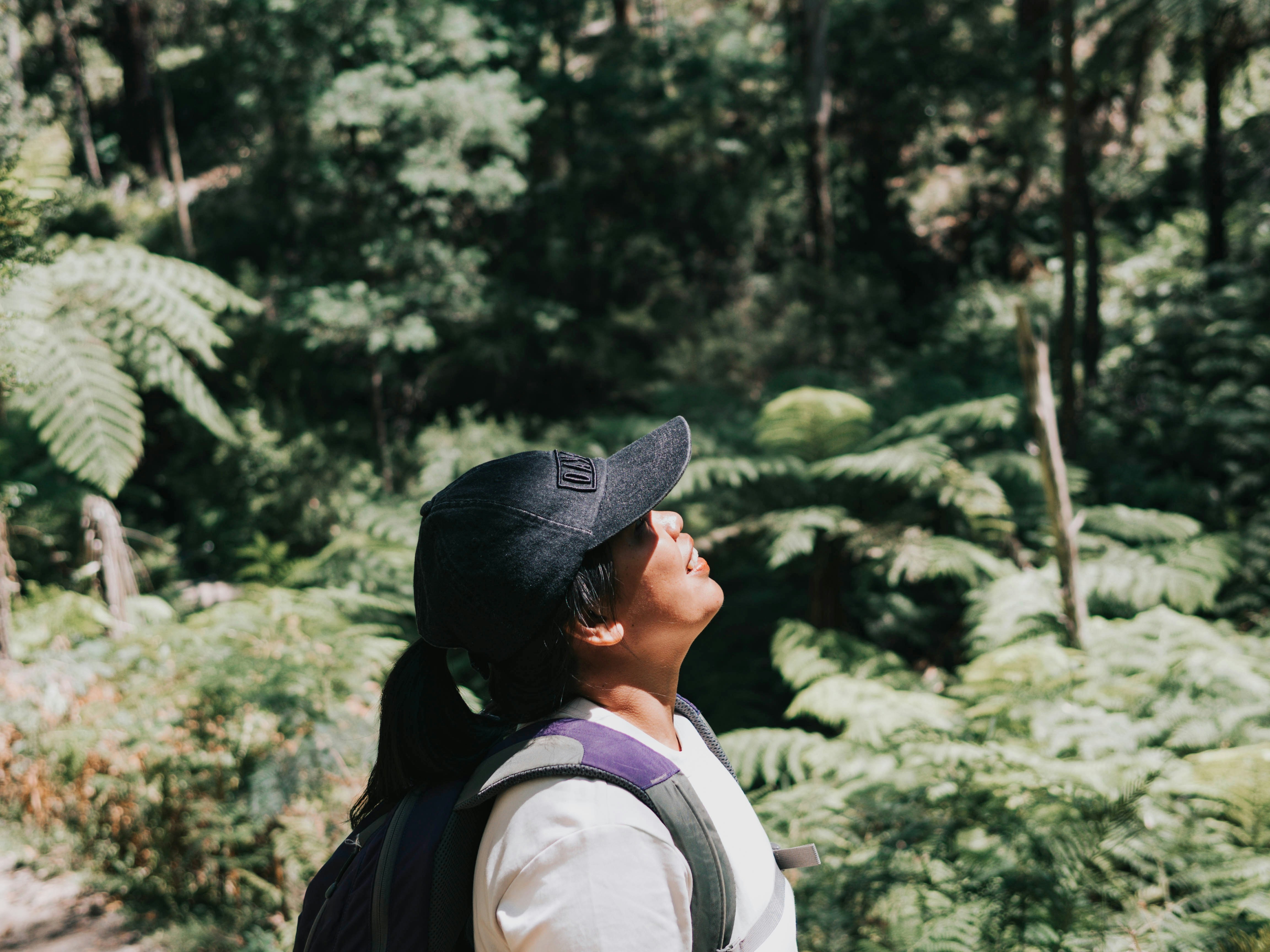 Wander Pictures | Download Free Images on Unsplash