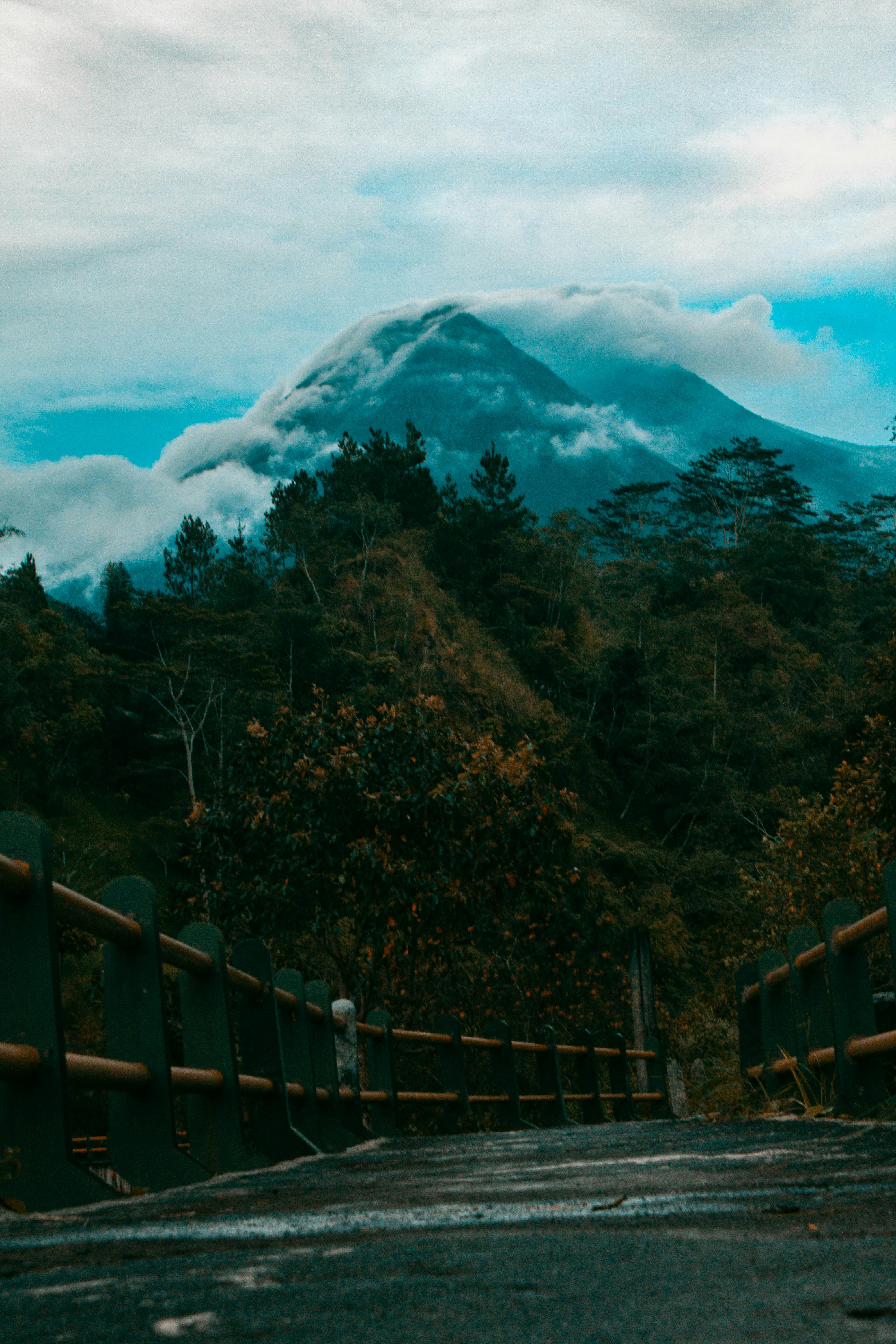 Cloudbound Peak Over a Forested Bridge
