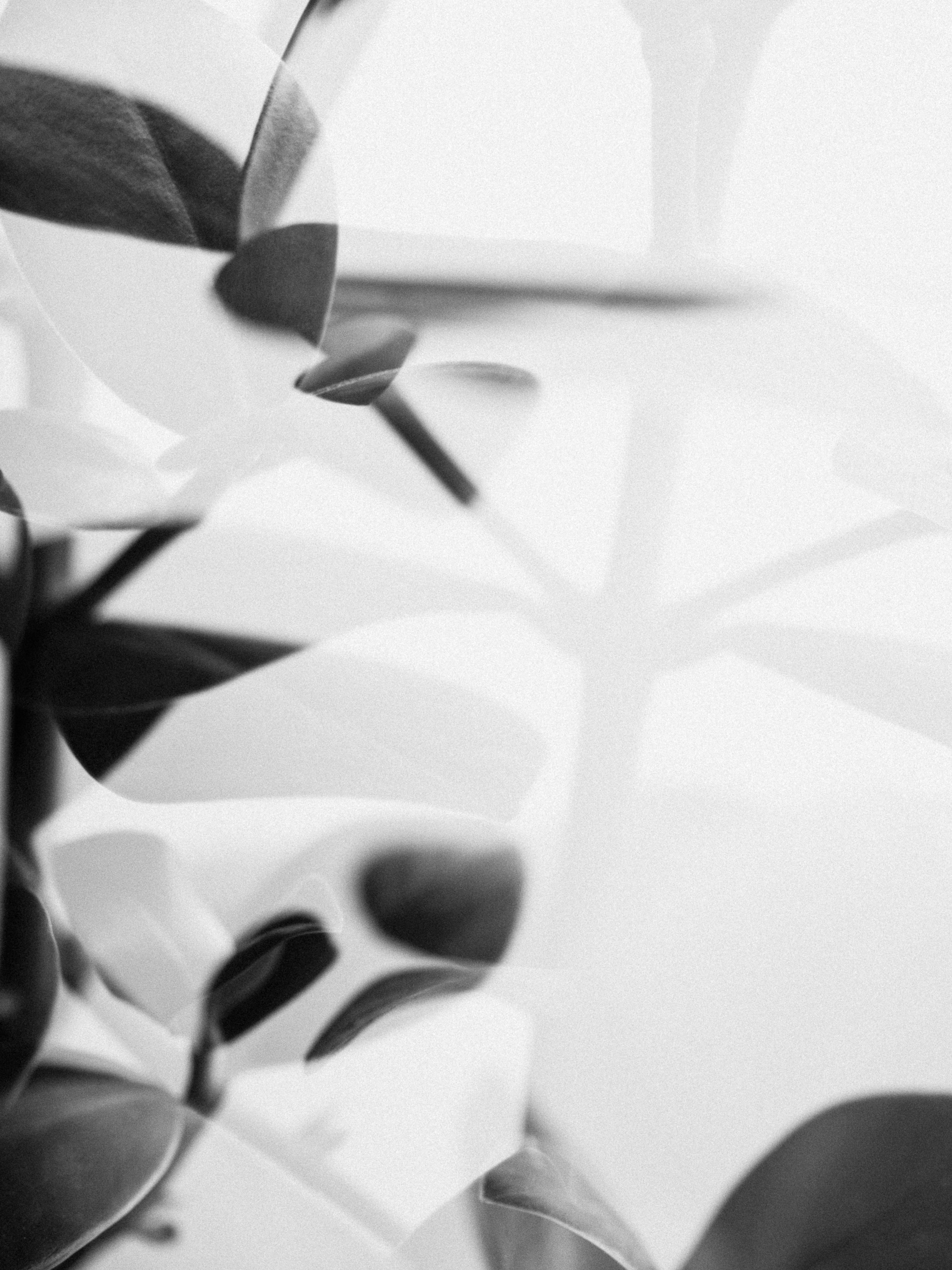 500+ Monochrome Pictures [HD] | Download Free Images on Unsplash