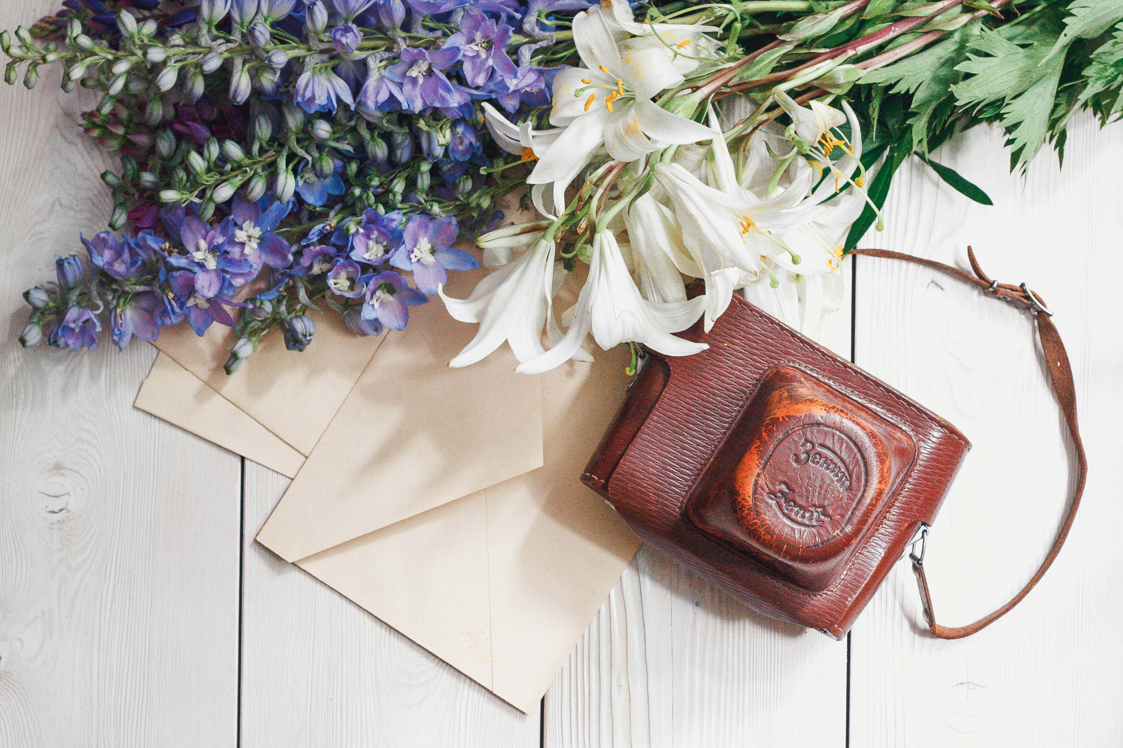 Rustic Camera and Floral Cachet on Weathered Wood
