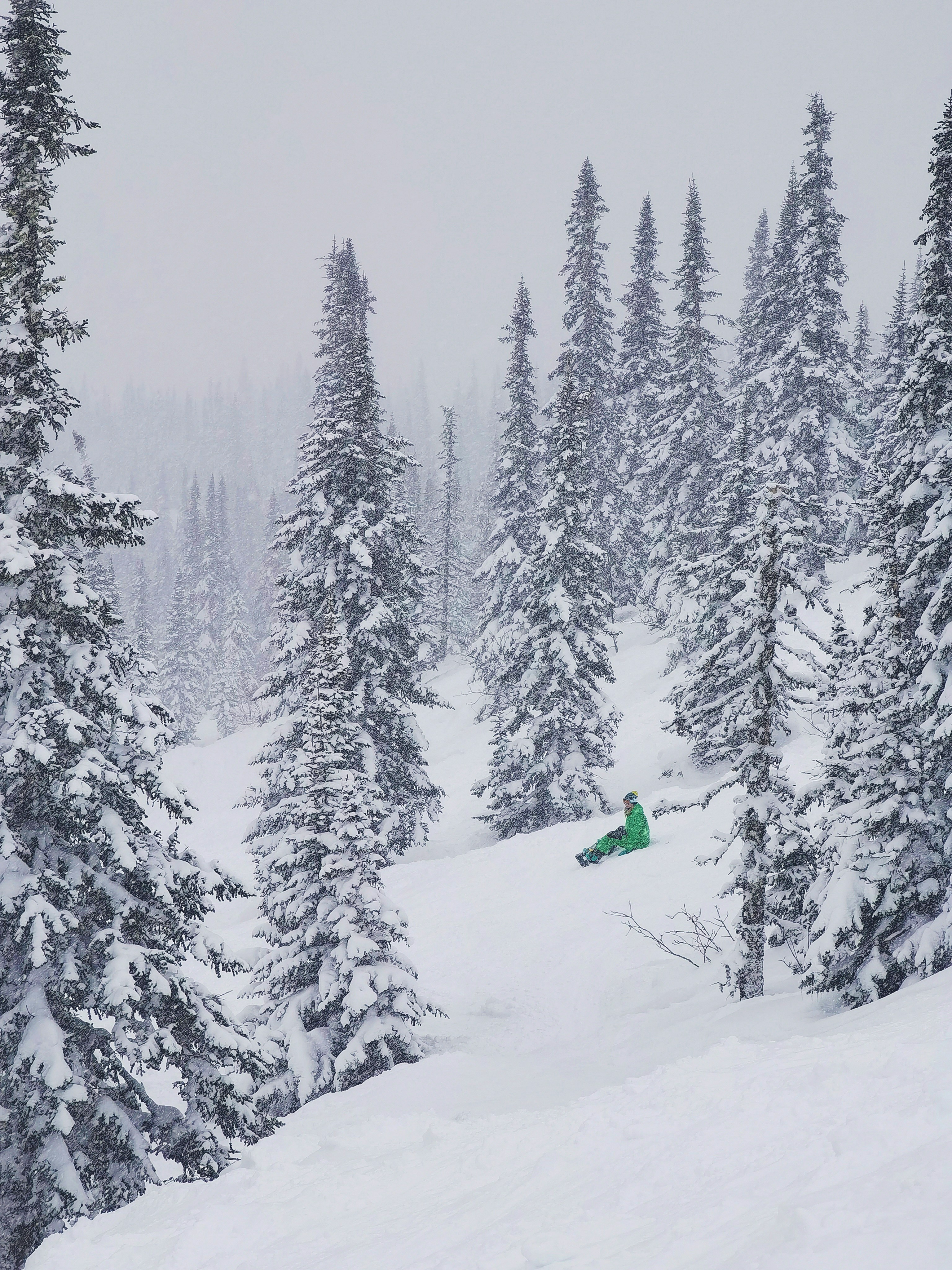 A lone figure in a green outfit sleds down a snowy slope, surrounded by tall evergreen trees blanketed in fresh snow. The scene captures the essence of winter fun amidst a serene landscape.