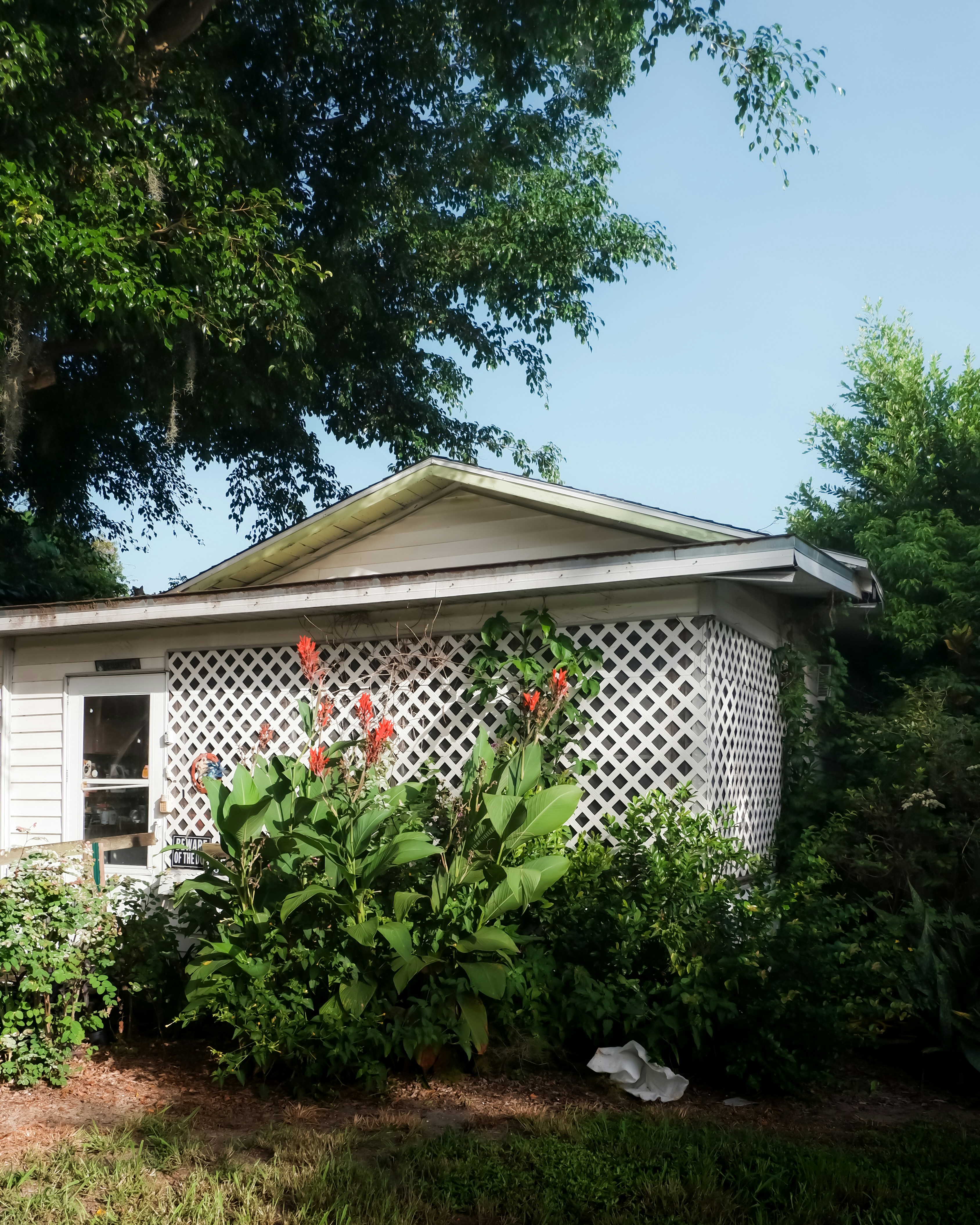 Overgrown Cottage Garden Framing a White Lattice Retreat