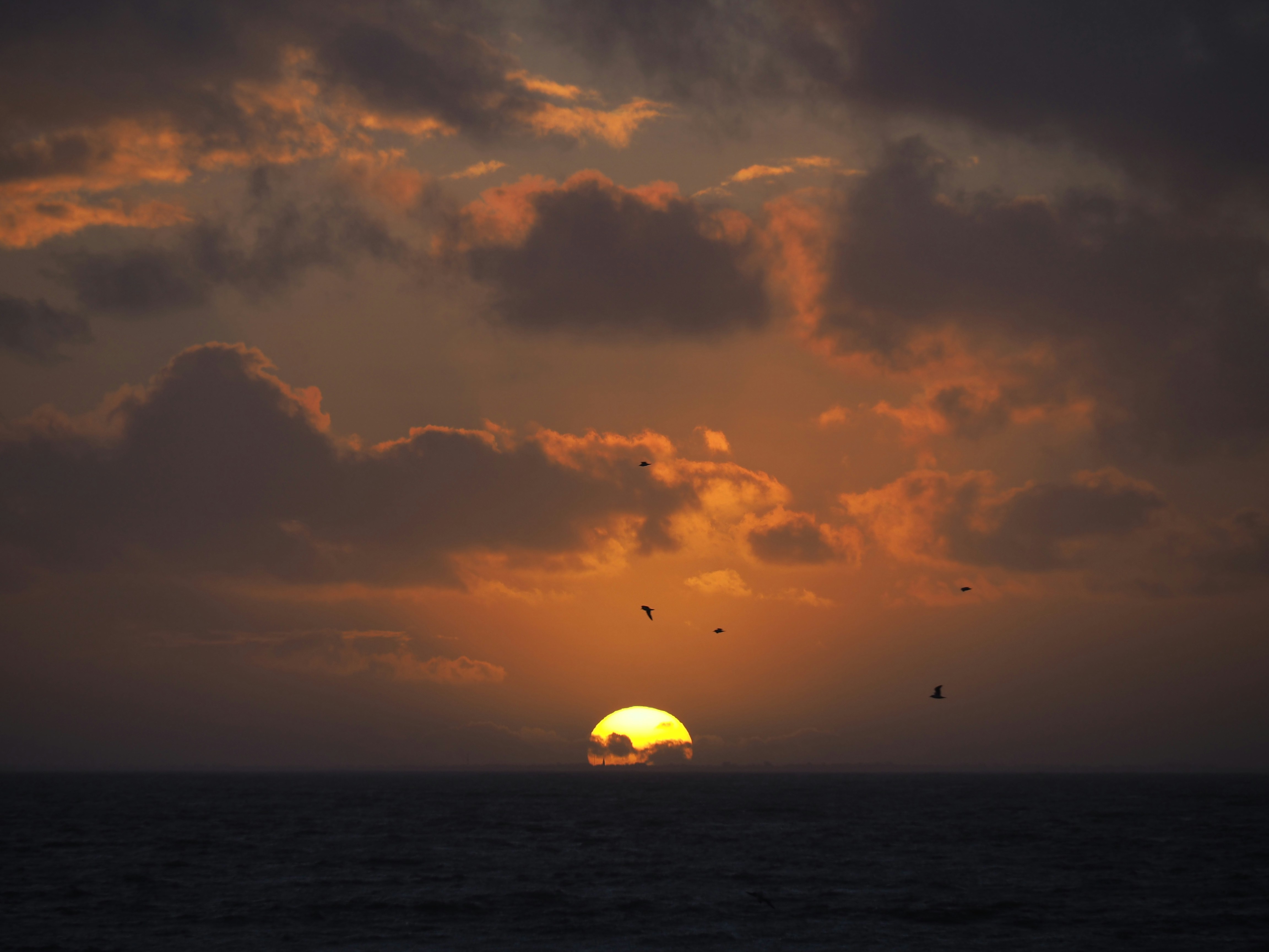 Ember Horizon: Sunset Quiet Over the Calm Sea