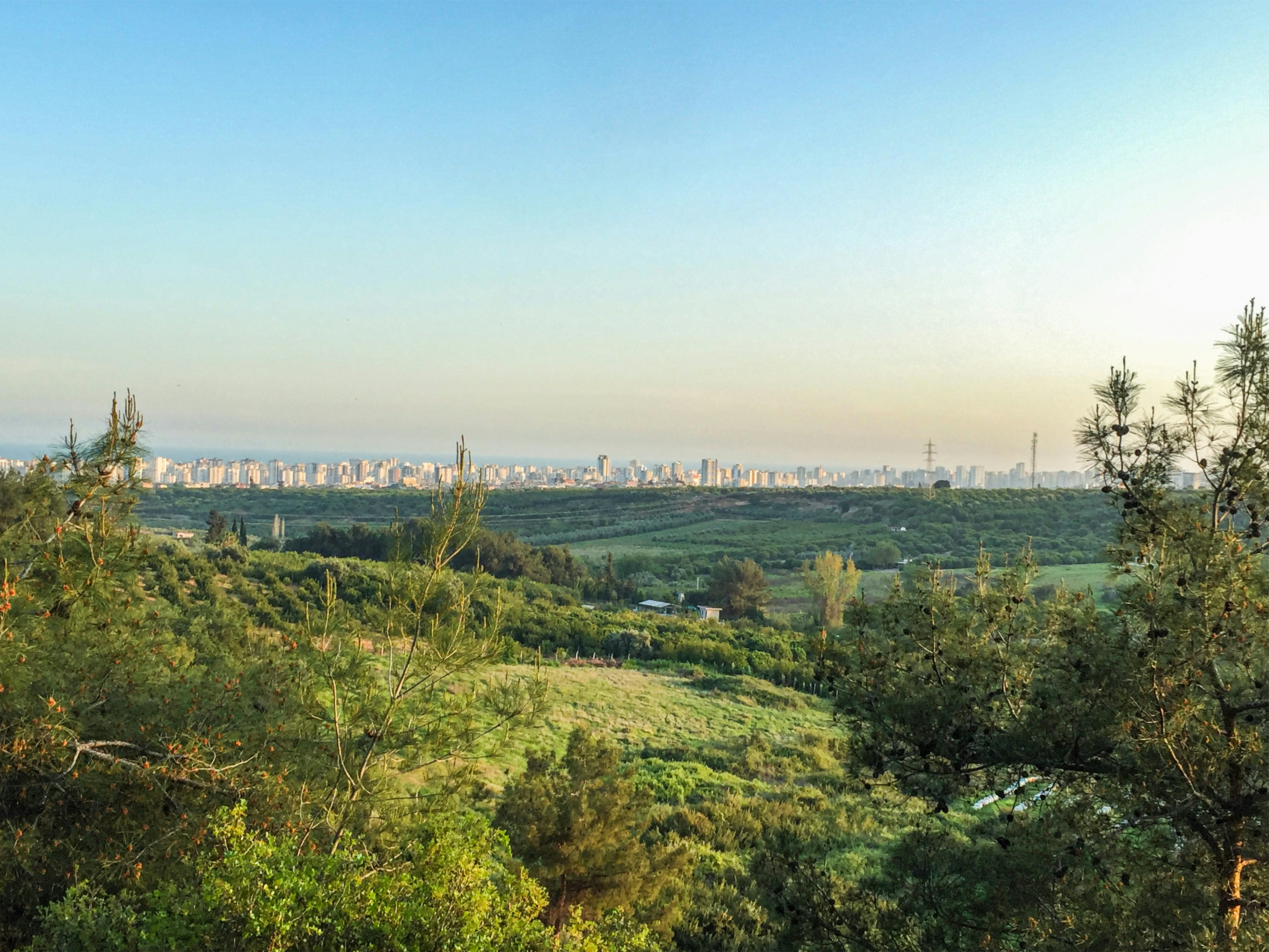 Urban Horizon from Verdant Heights