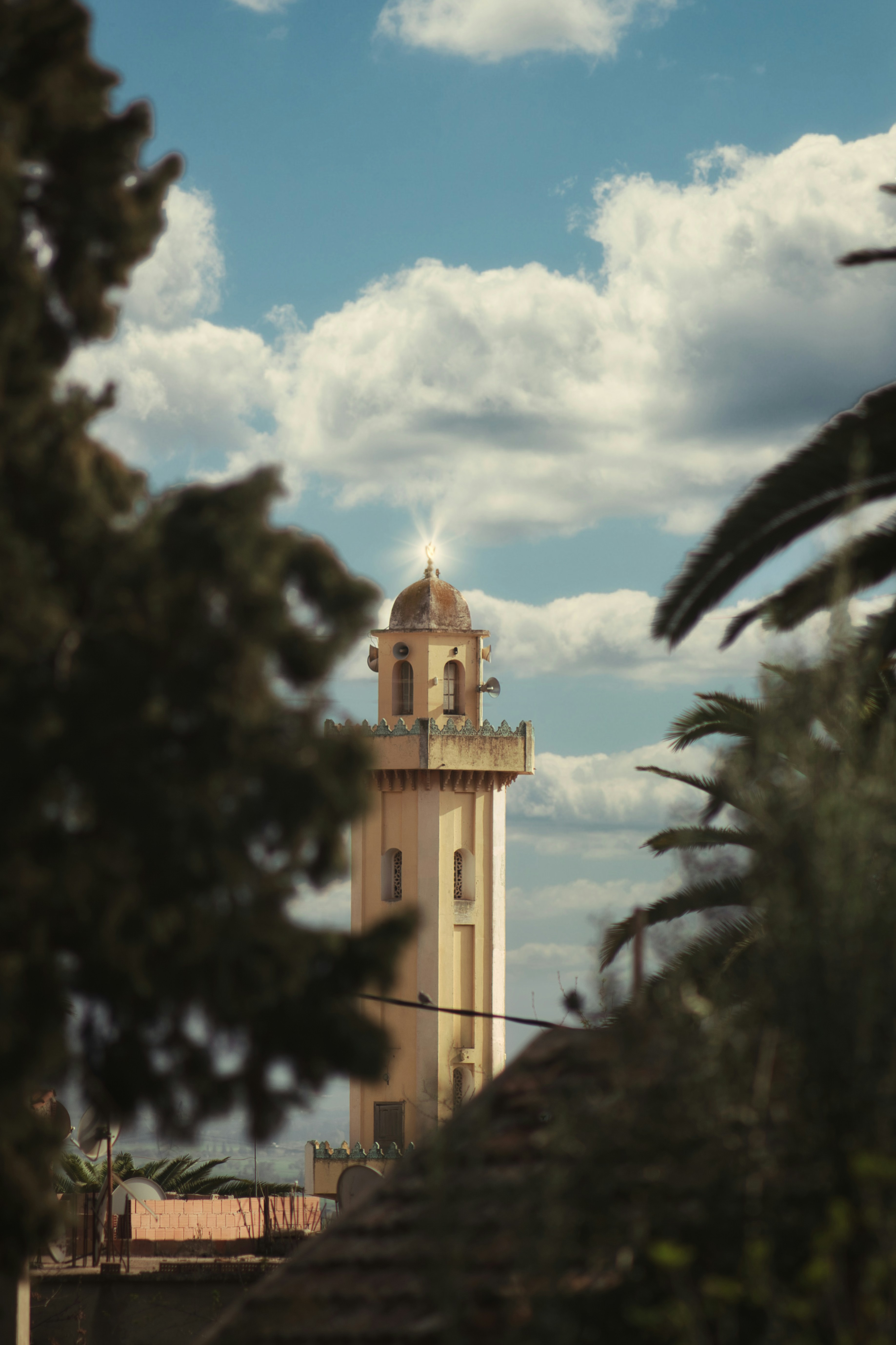 Bell Tower Rising Through Palm-Fringed Framing Under a Cerulean Sky