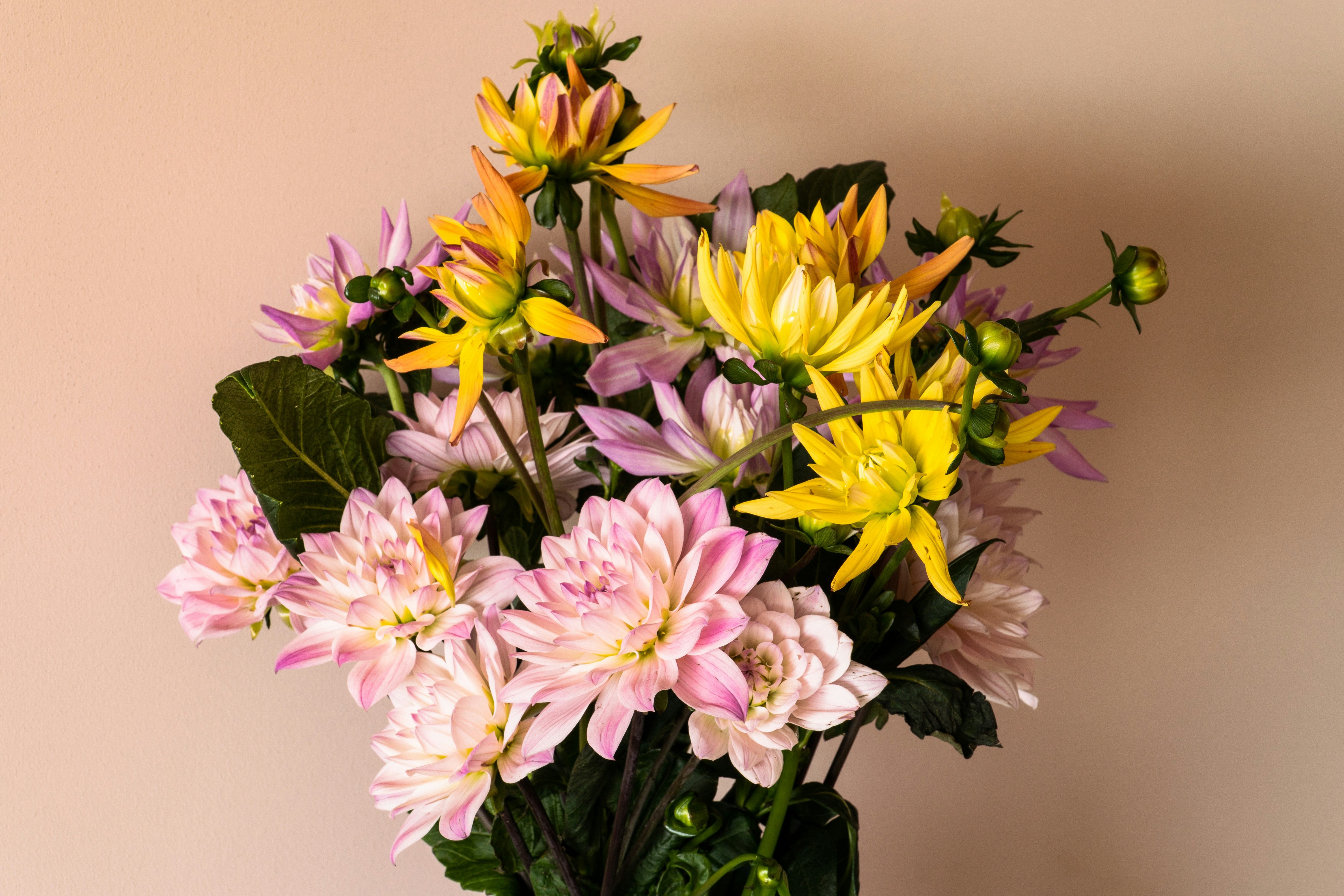 Bouquet in Soft Peach: A Pastel Symphony of Petals