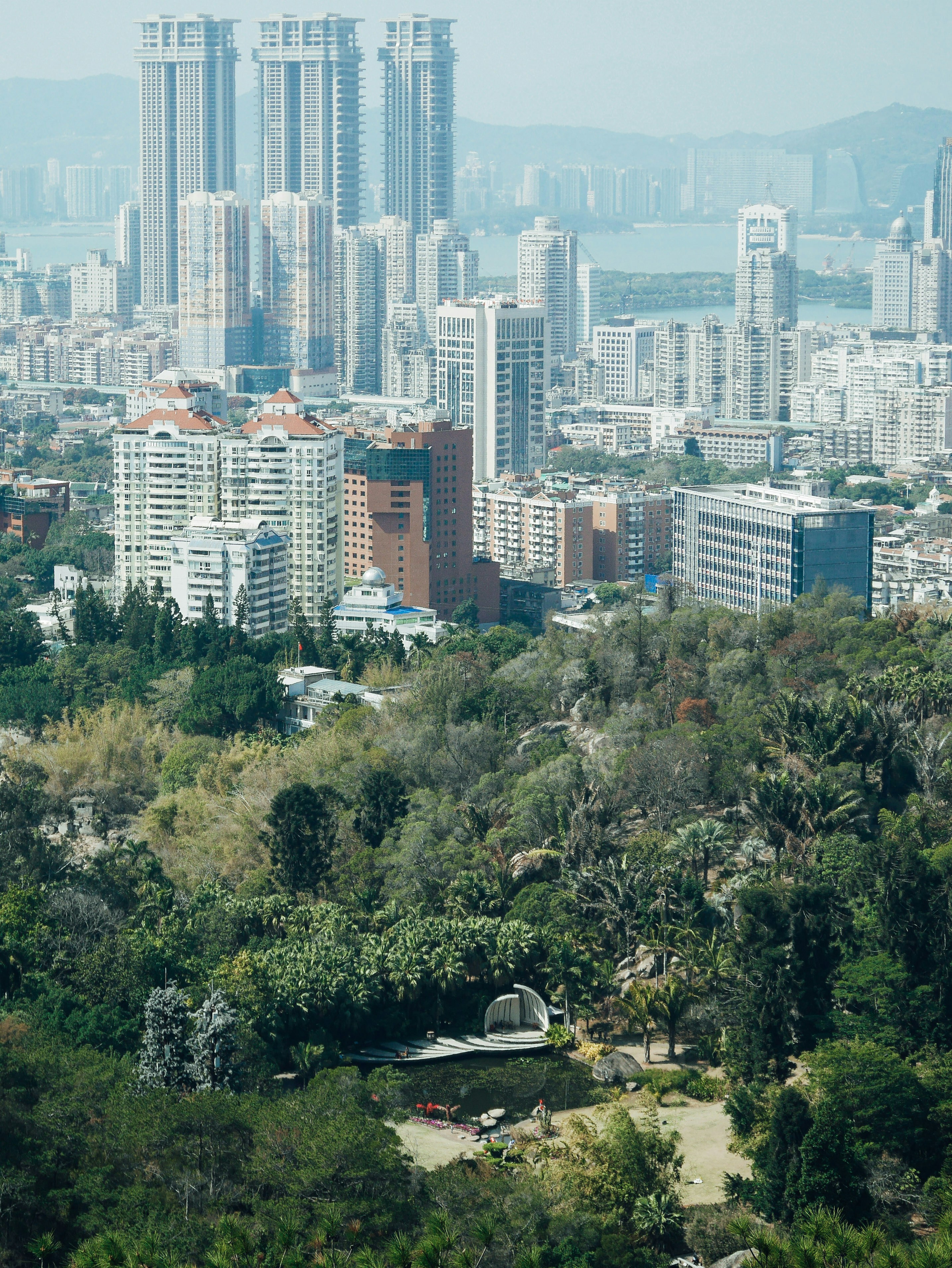 A panoramic view showcasing the contrast between lush greenery and towering skyscrapers in a bustling city. The scene highlights the harmonious coexistence of nature and urban development.