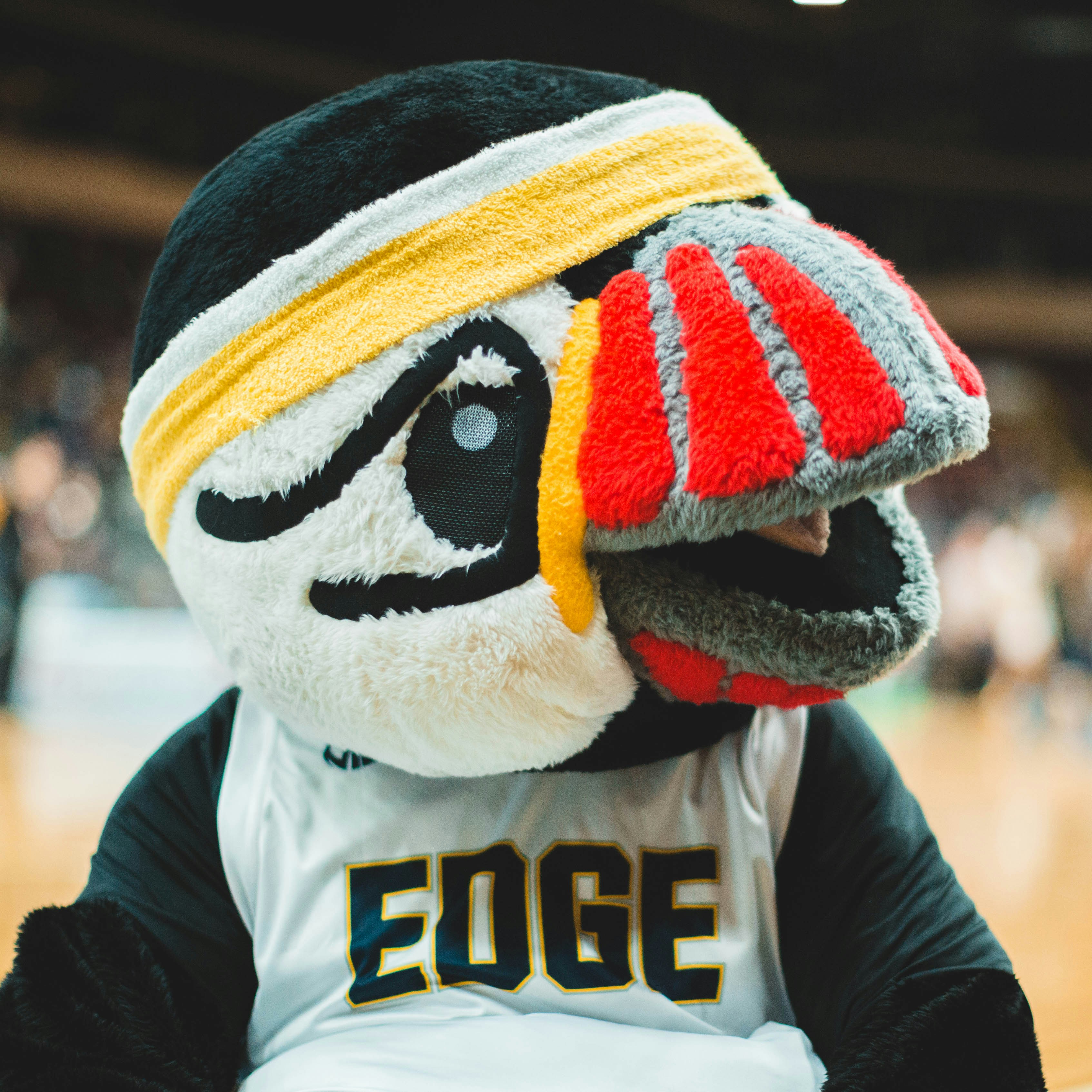 Edge Mascot on Court: A Close-Up of Playful Power