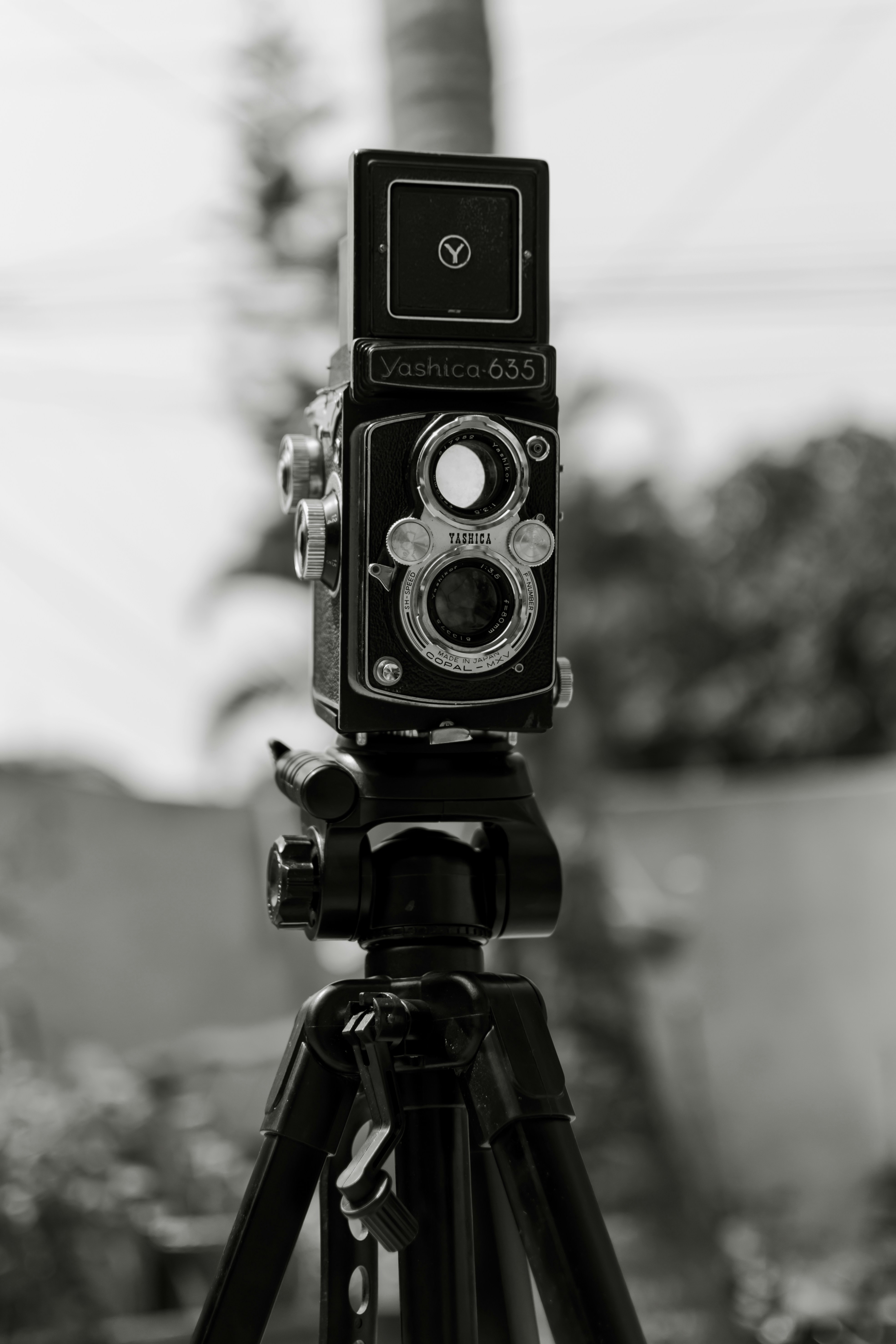 Automative Photography Pictures | Download Free Images on Unsplash